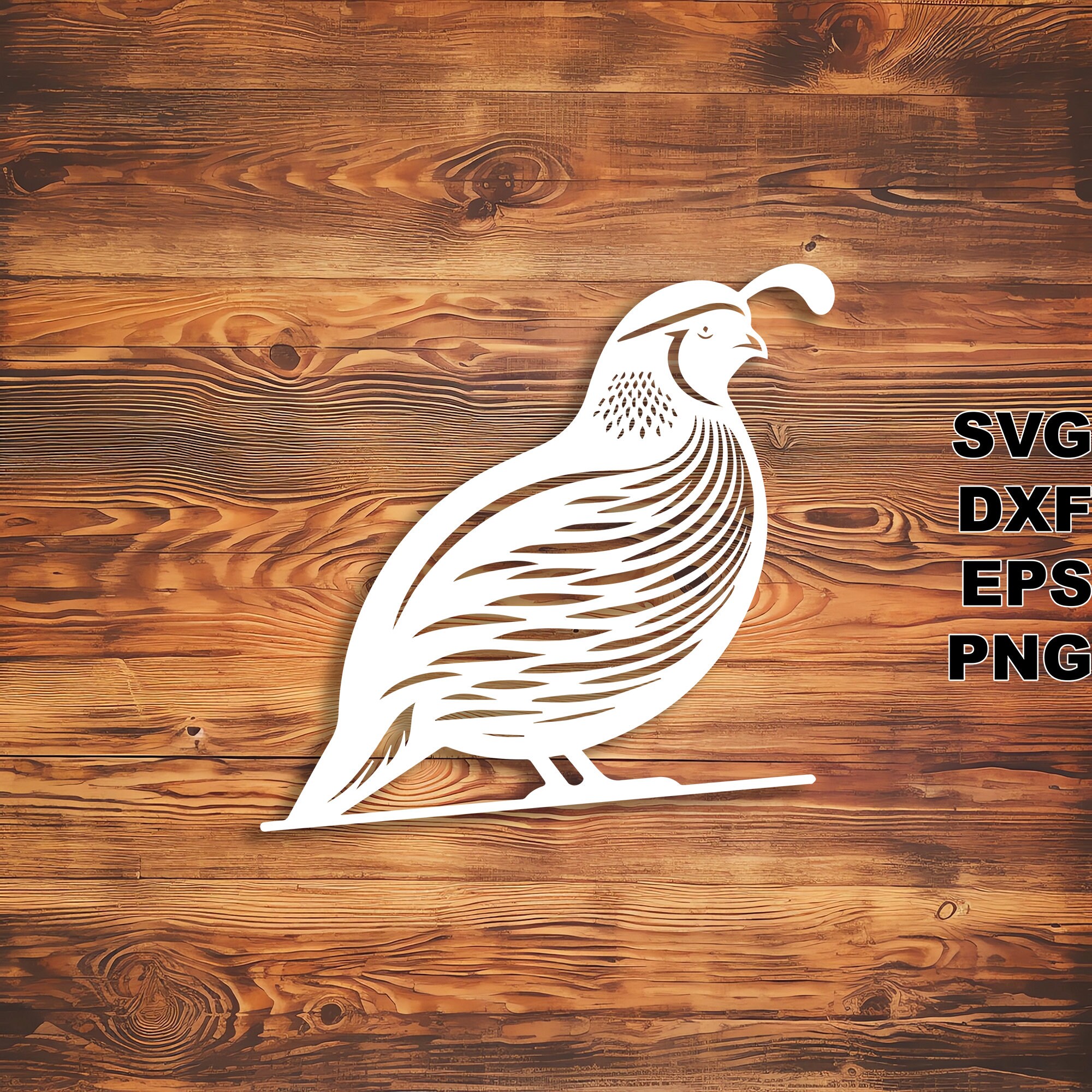 Birds of the West - SVG Cut Files (svg Dxf Png Eps) Vinyl and Paper Cut ...