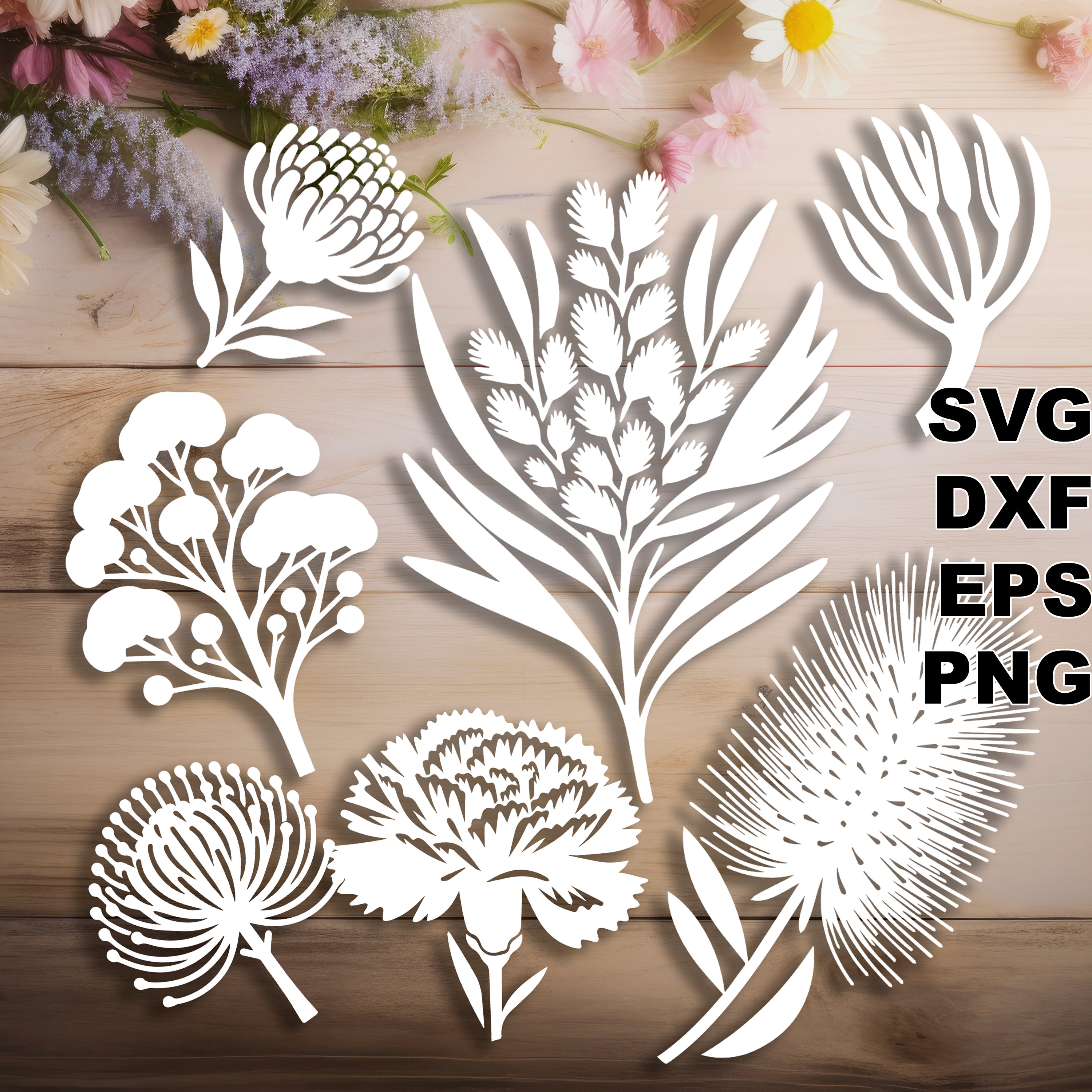 Australian Flora SVG Cut Files (svg Dxf Png Eps) Vinyl and Paper Cut ...