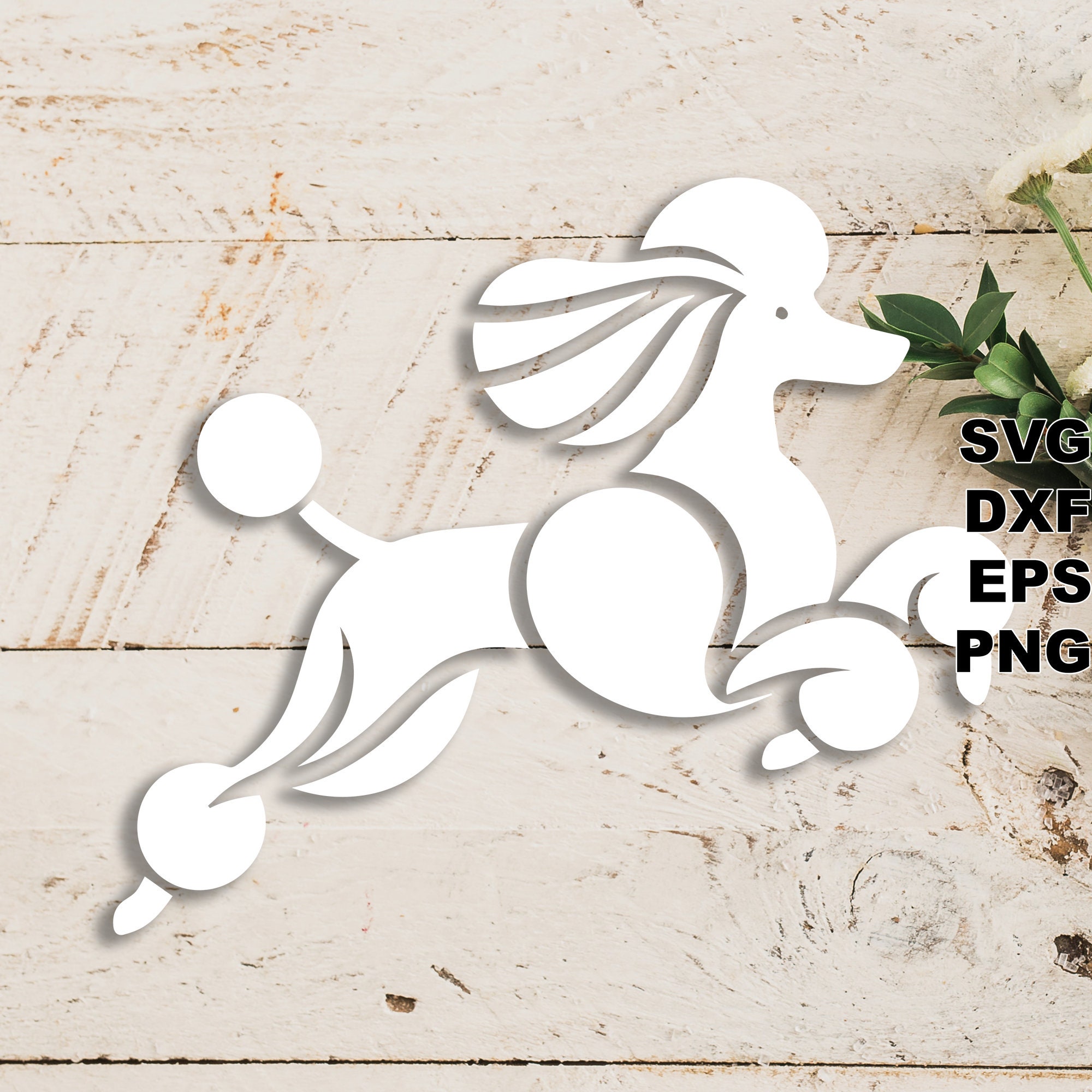 Poodle SVG Cut Files (svg Dxf Png Eps) Silhouette & Cricut, Digital ...