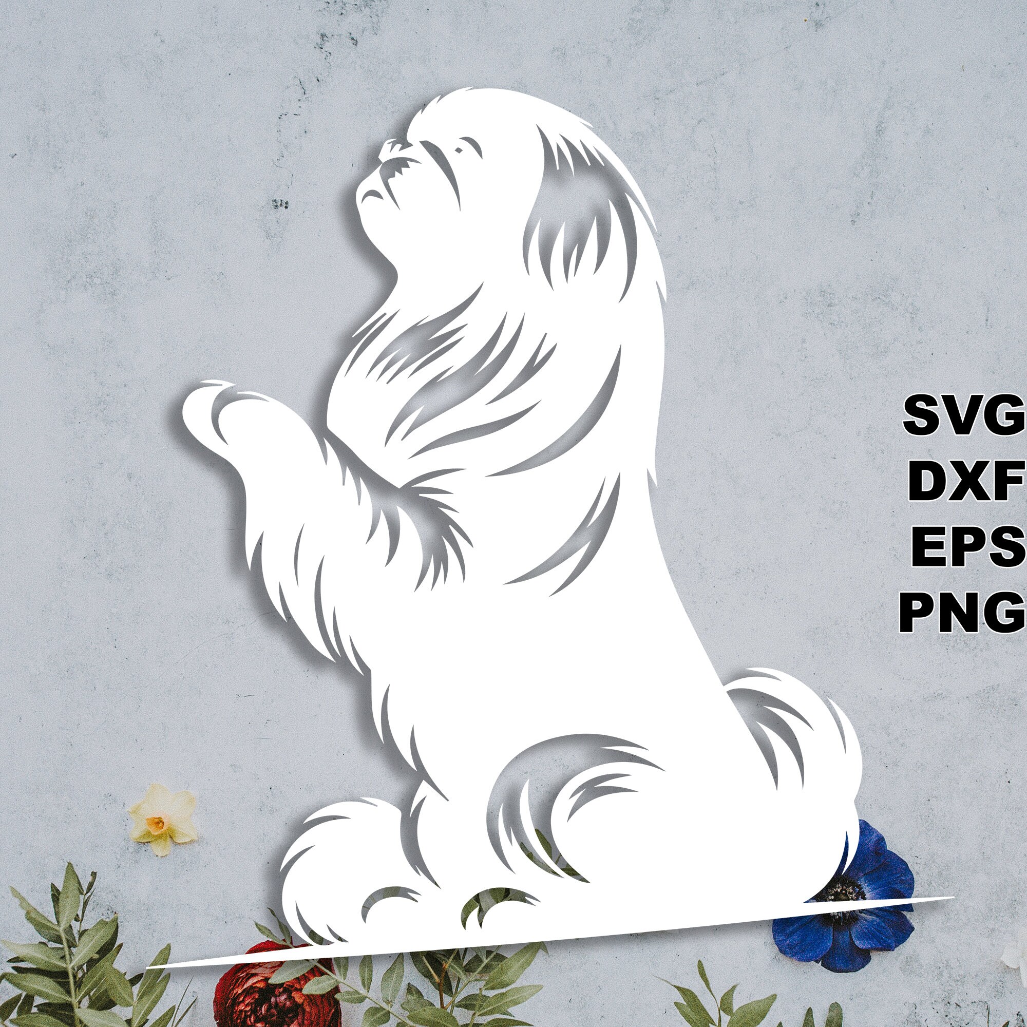 Pekingese SVG Cut Files svg Dxf Png Eps Silhouette & Cricut, Digital ...