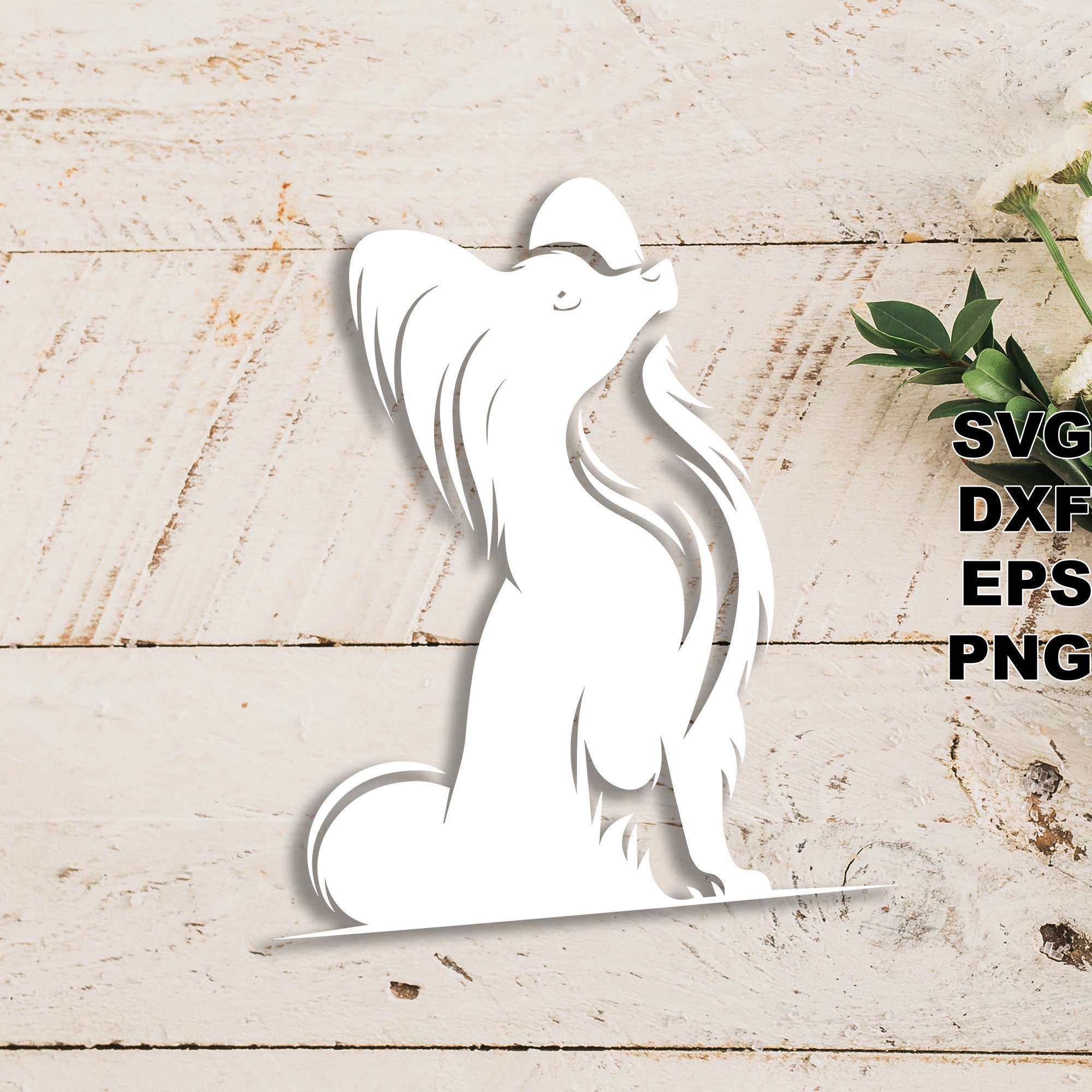 Papillon SVG Cut Files svg Dxf Png Eps Silhouette & Cricut, Digital ...