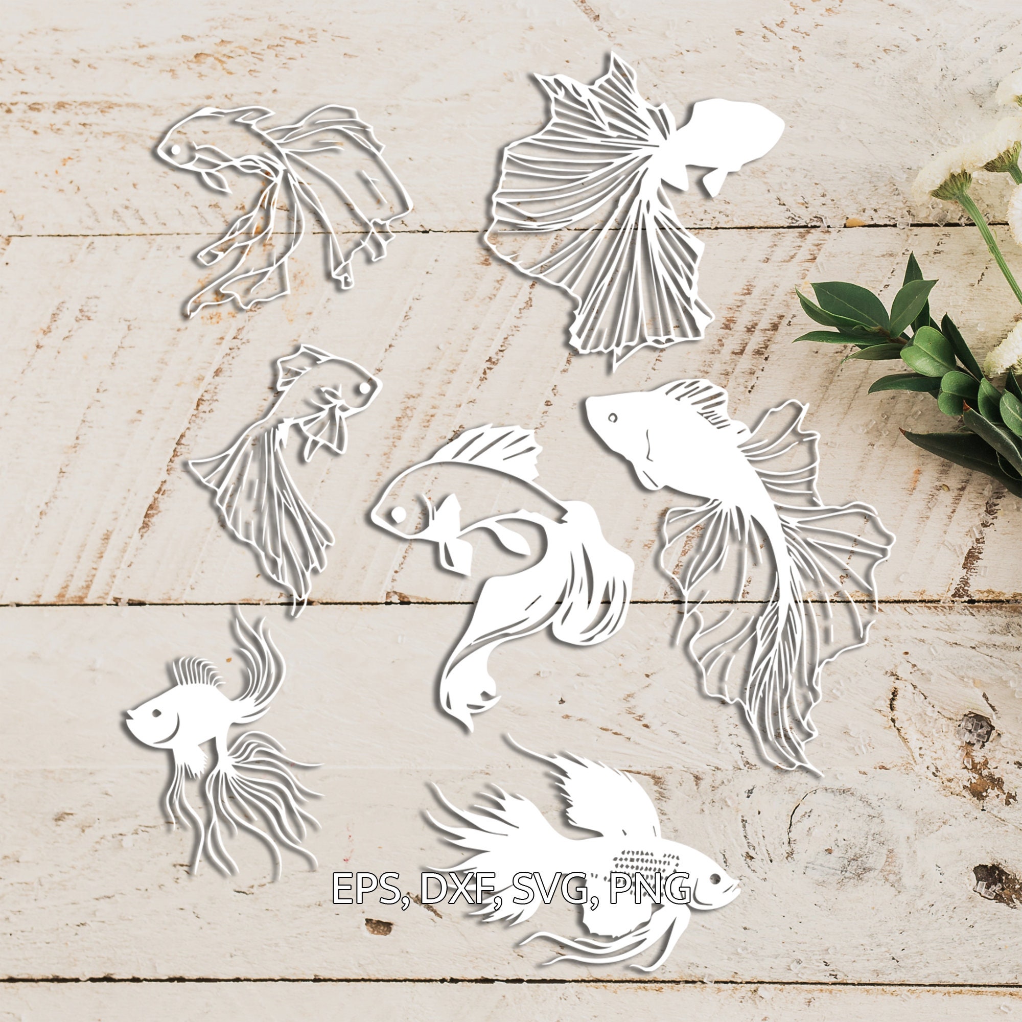 Beta Fish SVG Cut Files svg Dxf Png Eps Silhouette & Cricut, Digital ...