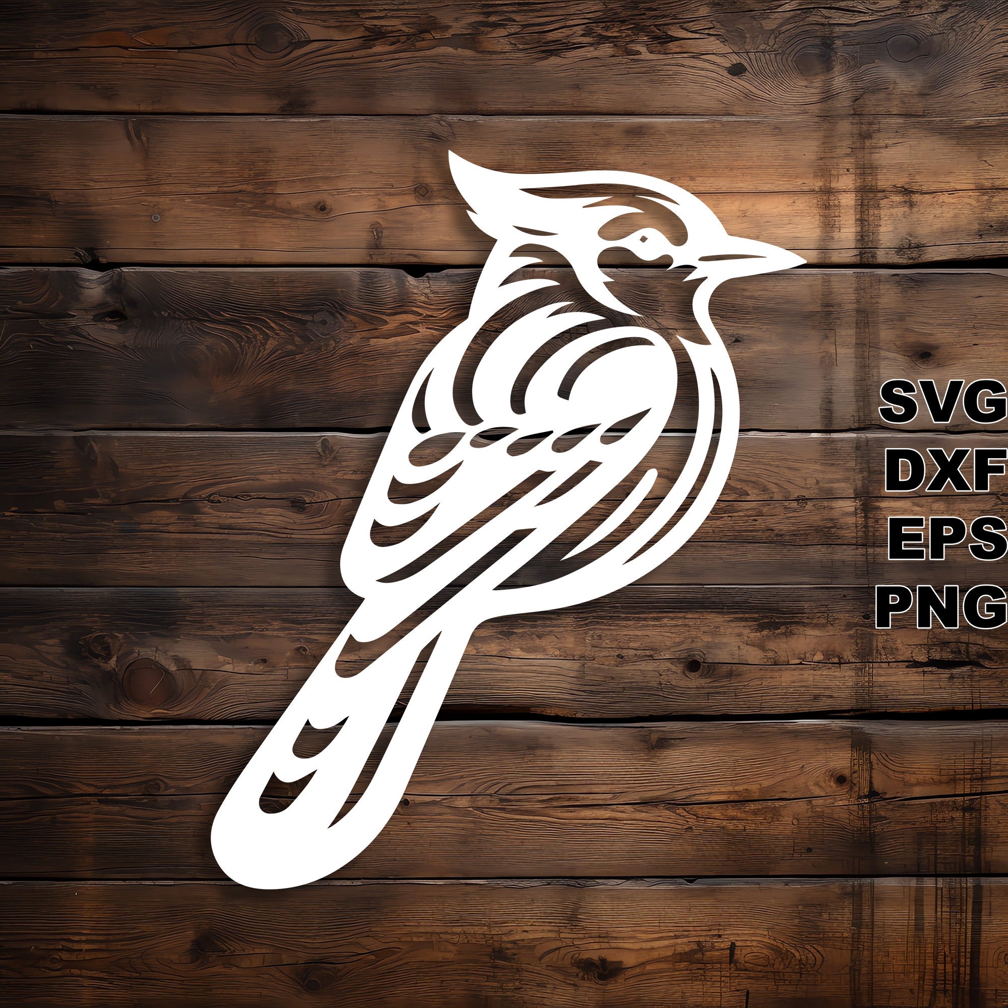 Birds of the Northeast SVG Cut Files svg Dxf Png Eps Vinyl and Paper ...