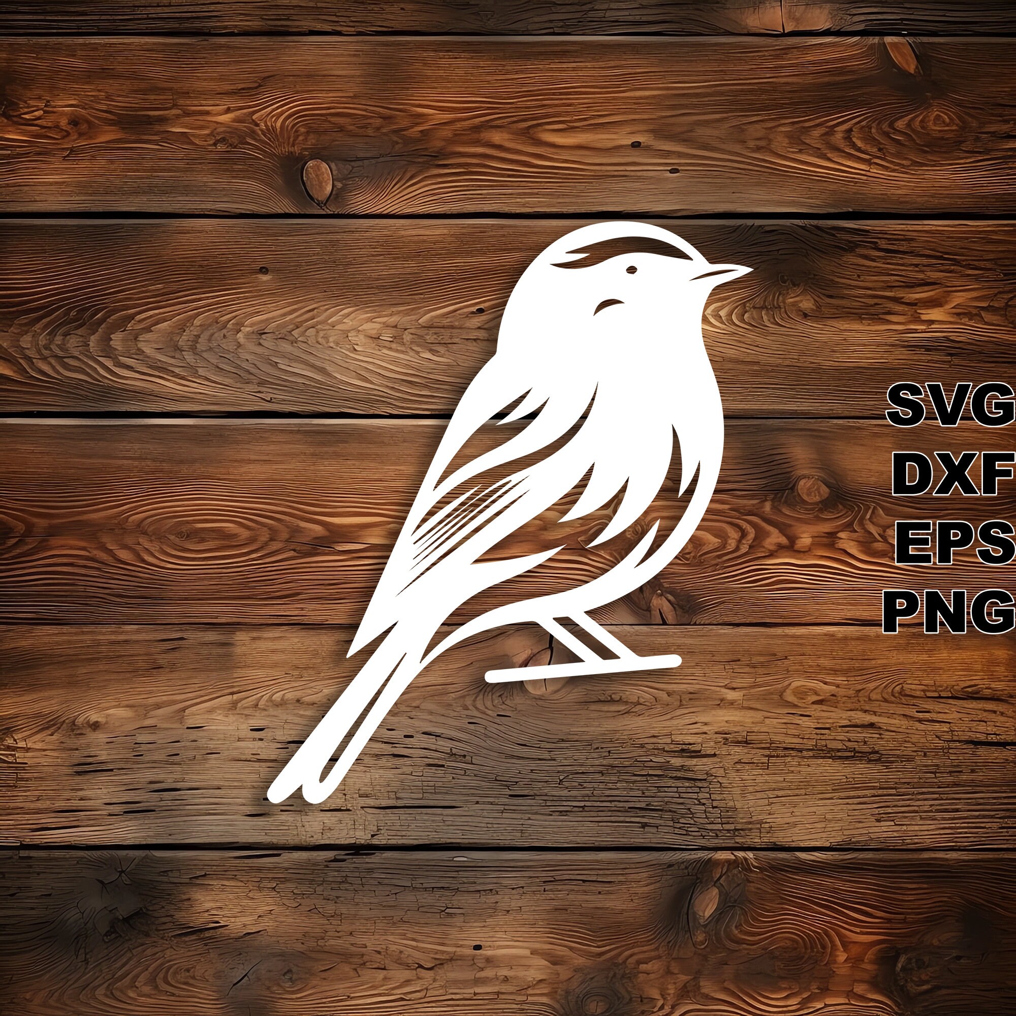Birds of the American Southwest - SVG Cut Files (svg Dxf Png Eps) Vinyl ...