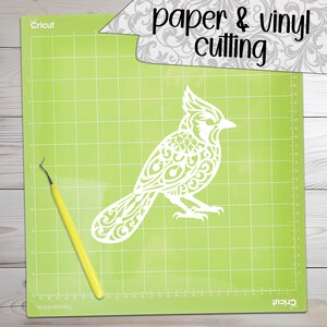 Blue Jay SVG Cut Files (svg Dxf Png Eps Jpeg) Silhouette & Cricut ...