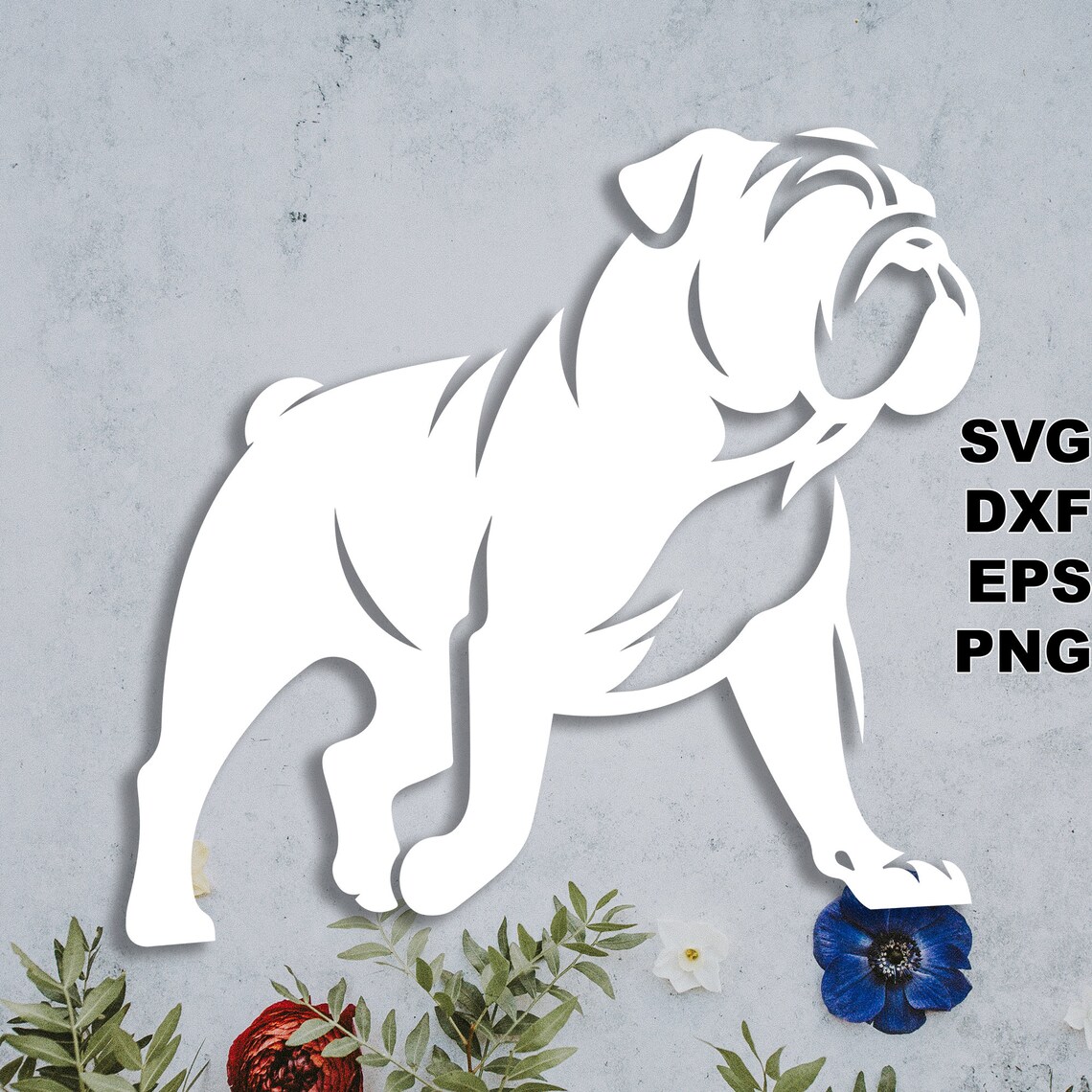 Bulldog SVG Cut Files svg Dxf Png Eps Silhouette & Cricut, Digital ...