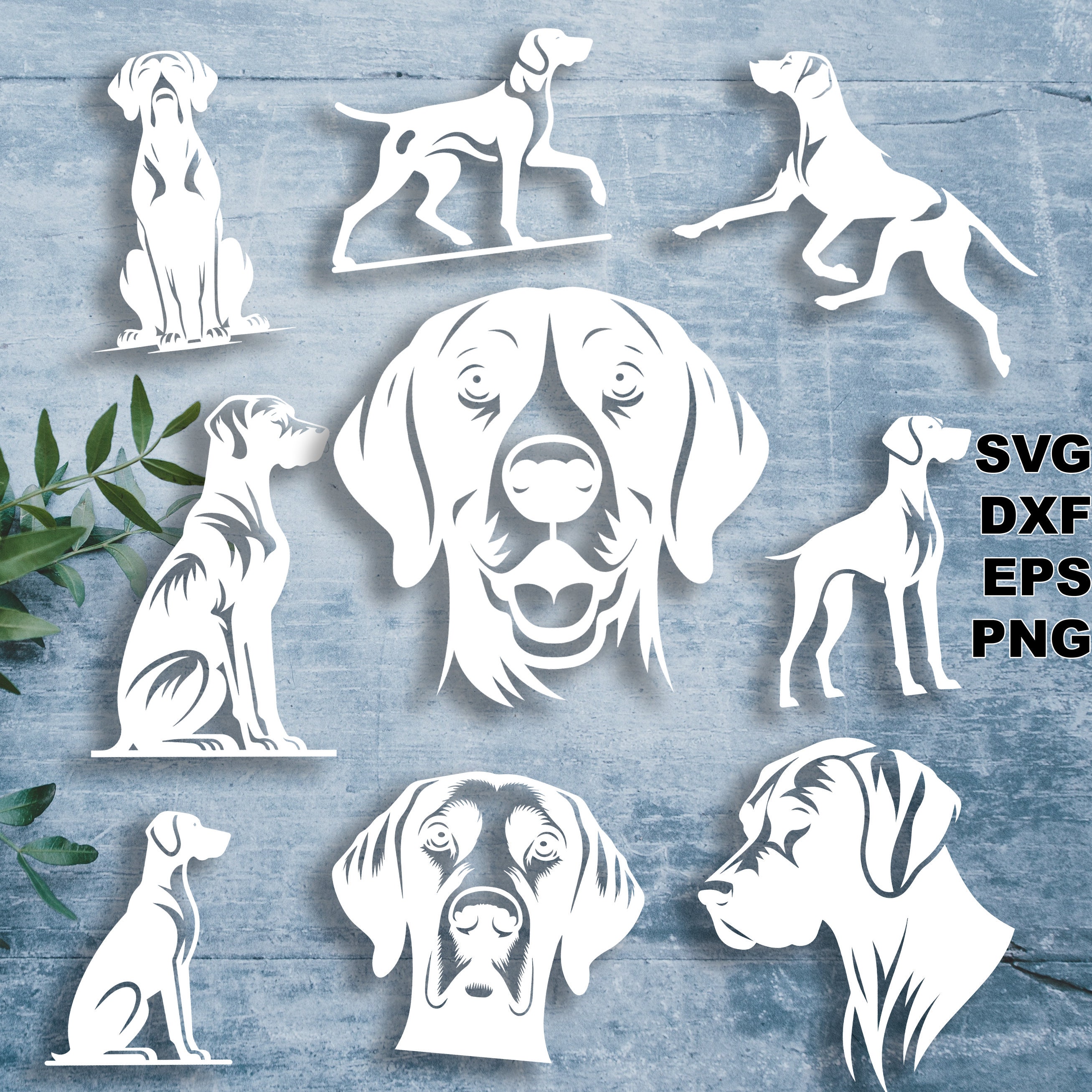 Shorthaired Pointer Dog SVG Cut Files svg Dxf Png Eps Silhouette ...