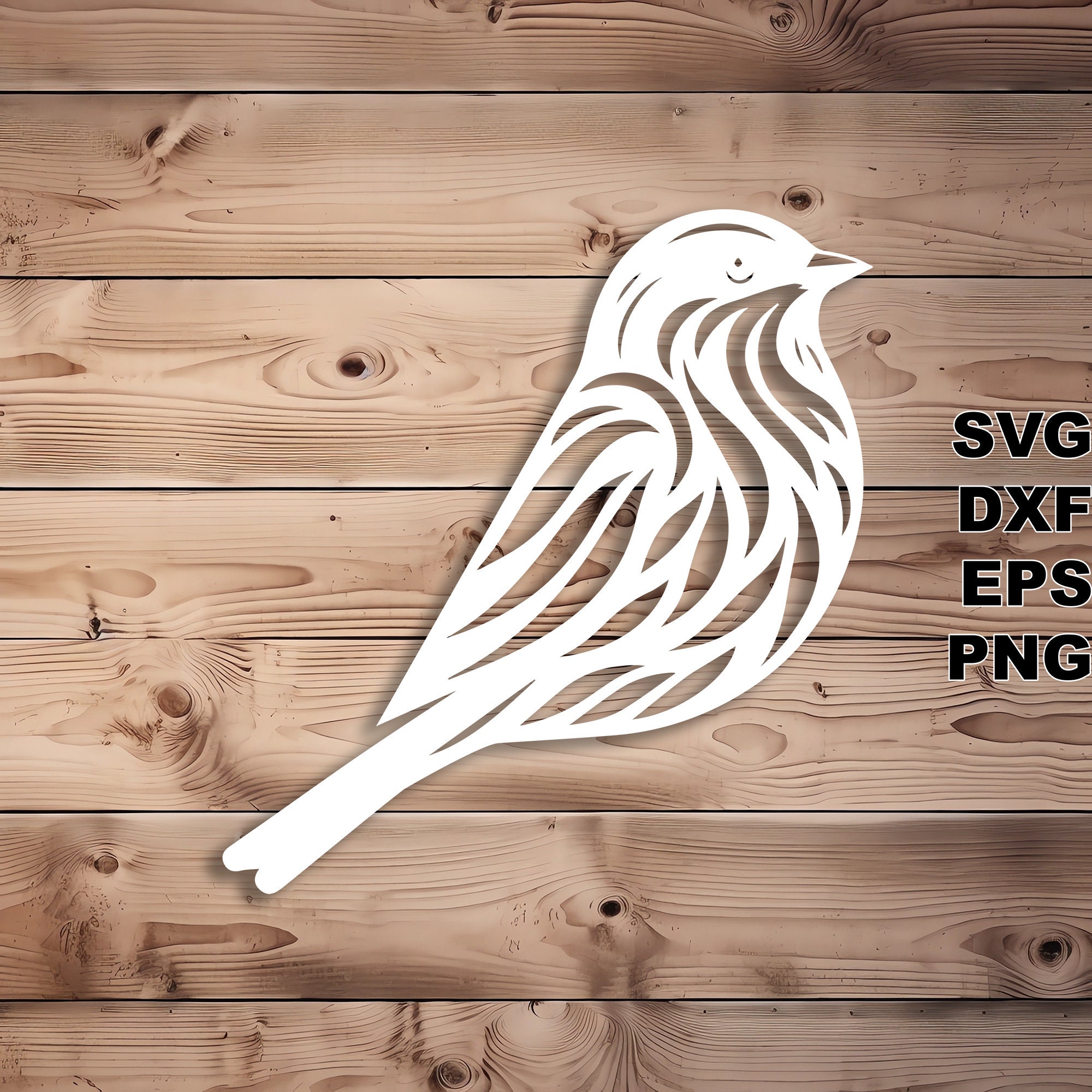Birds of the Southeast SVG Cut Files svg Dxf Png Eps Vinyl and Paper ...
