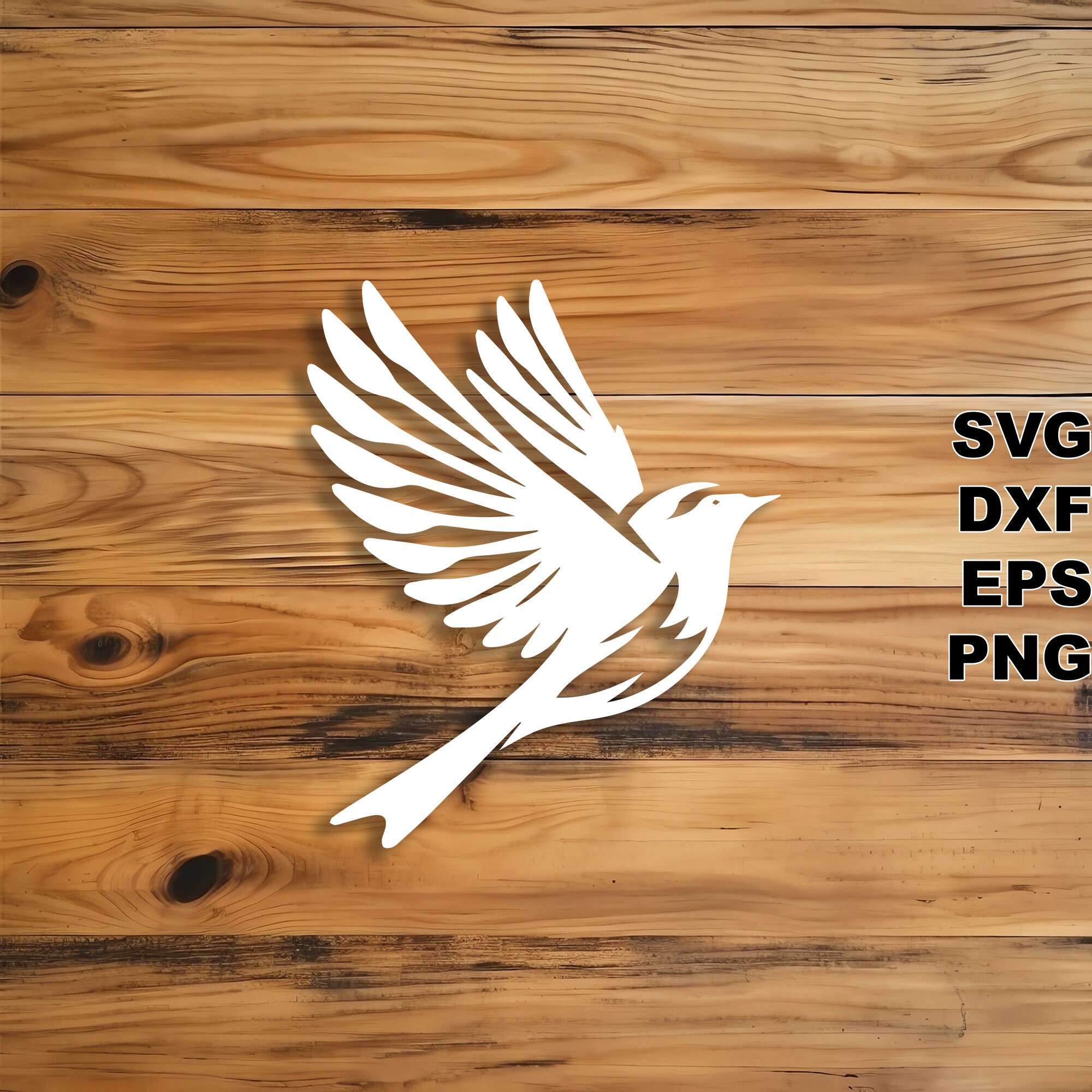 Birds of the American Southwest - SVG Cut Files (svg Dxf Png Eps) Vinyl ...