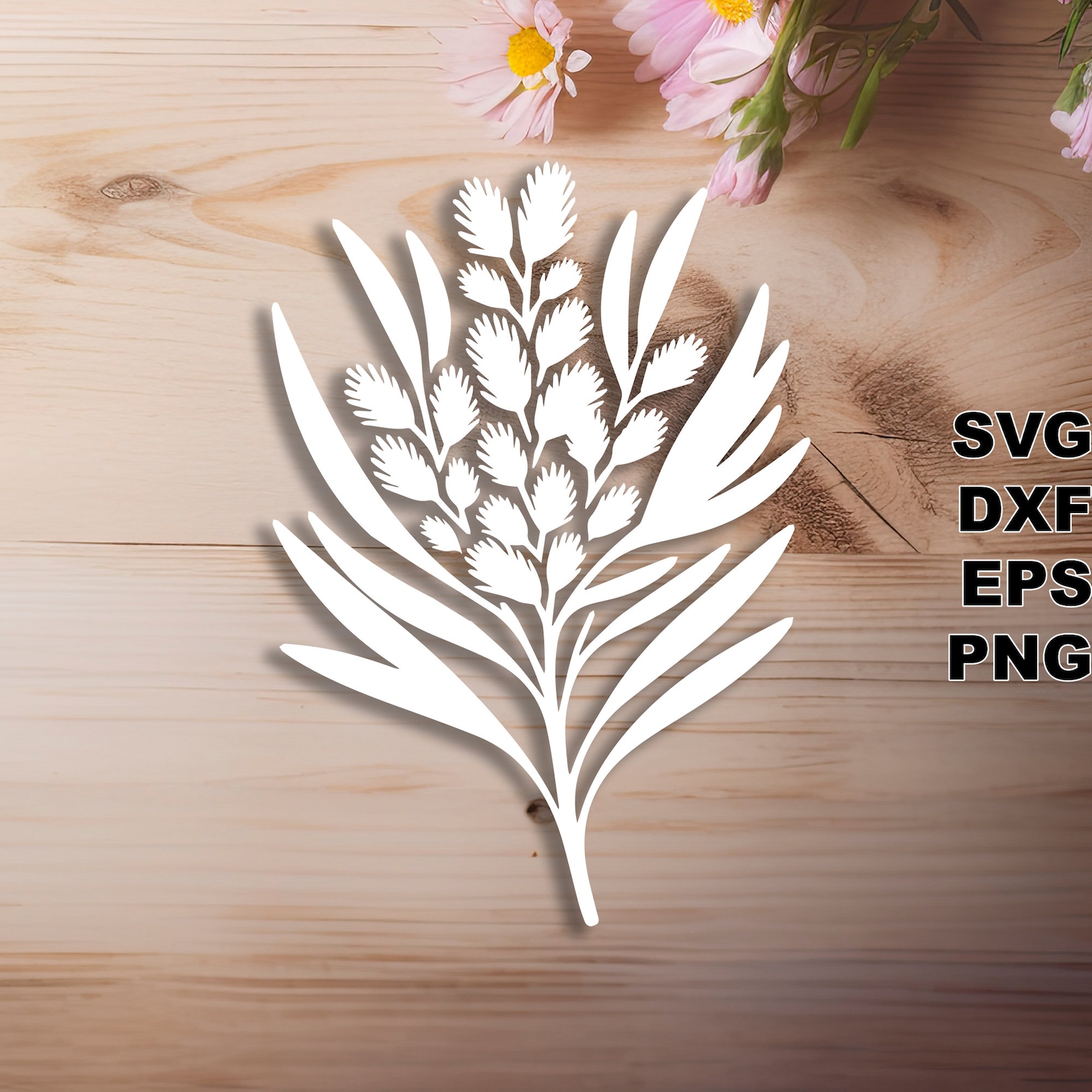 Australian Flora SVG Cut Files (svg Dxf Png Eps) Vinyl and Paper Cut ...