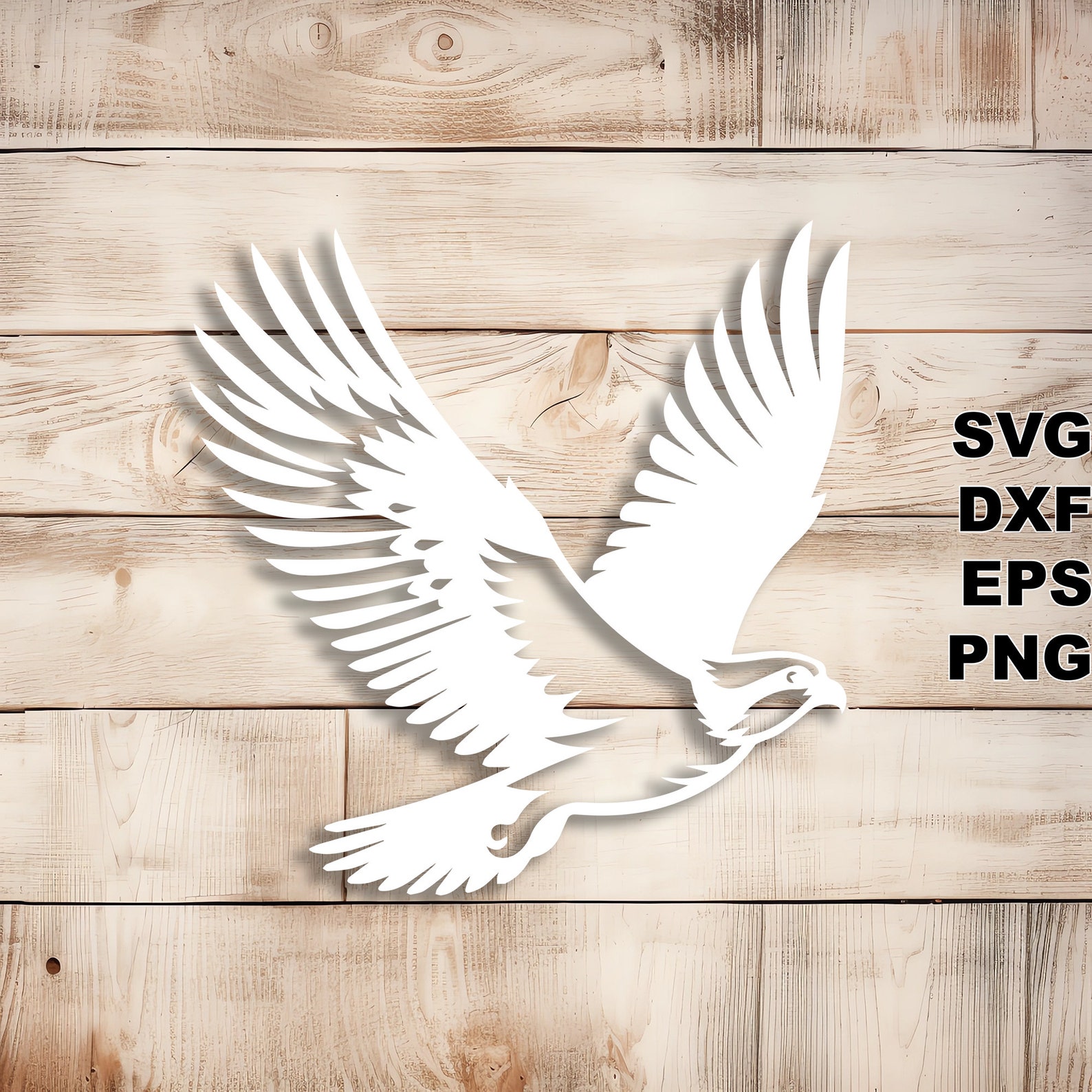 Birds of the Southeast - SVG Cut Files (svg Dxf Png Eps) Vinyl and ...