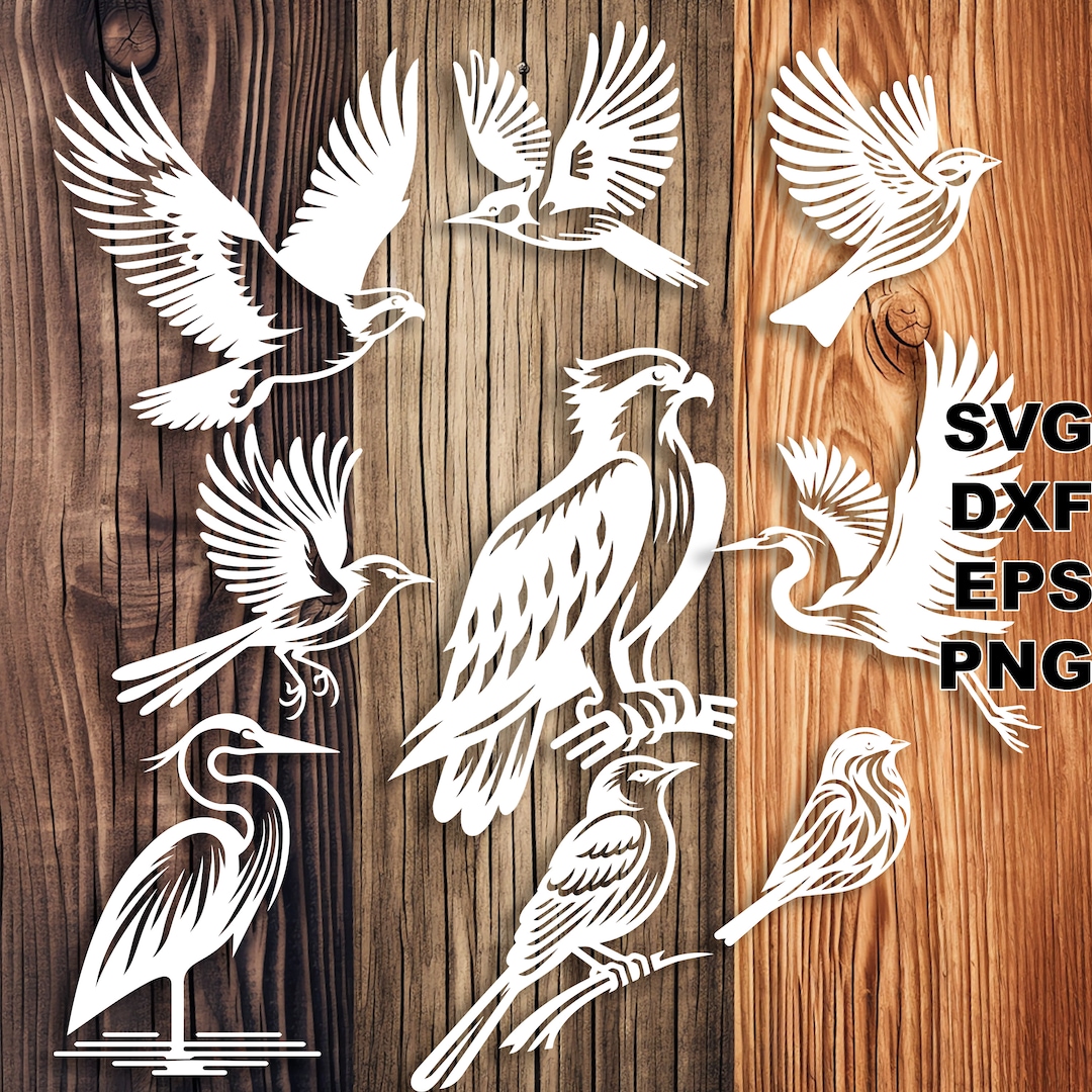 Birds of the Southeast - SVG Cut Files (svg Dxf Png Eps) Vinyl and ...
