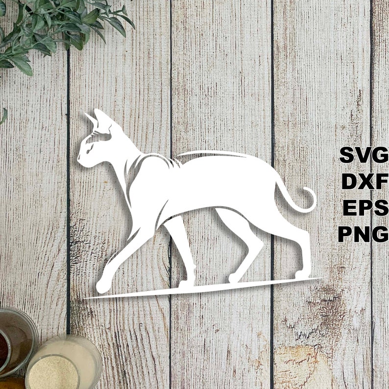 Sphynx Cat SVG Cut Files svg Dxf Png Eps Silhouette & Cricut, Digital ...