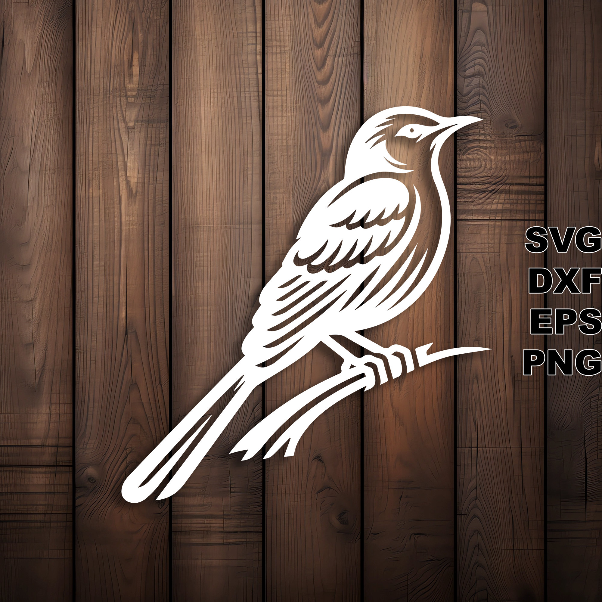 Birds of the Southeast - SVG Cut Files (svg Dxf Png Eps) Vinyl and ...