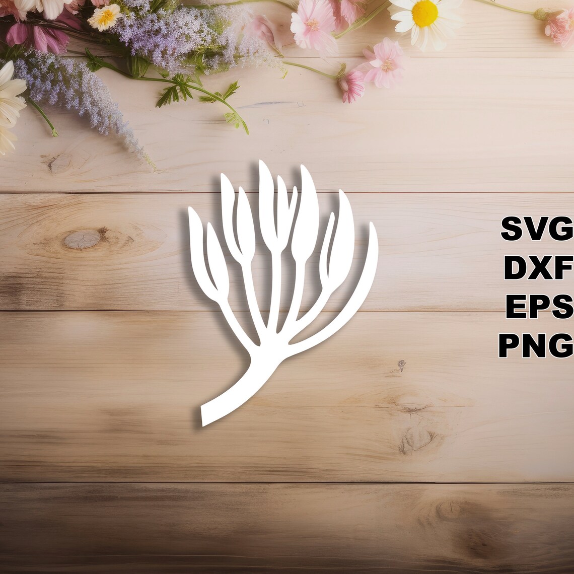 Australian Flora SVG Cut Files (svg Dxf Png Eps) Vinyl and Paper Cut ...