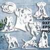 Netherlands Flora SVG Cut Files svg Dxf Png Eps Vinyl and Paper Cut ...