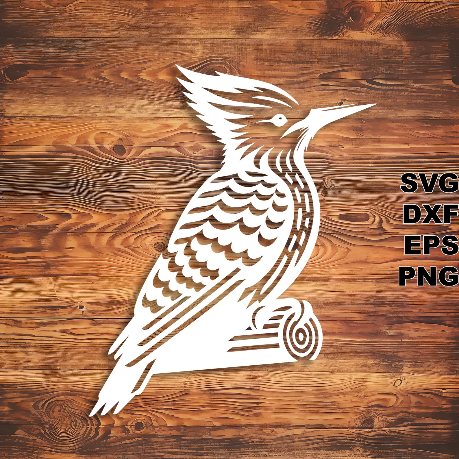 Birds of the Southeast - SVG Cut Files (svg Dxf Png Eps) Vinyl and ...