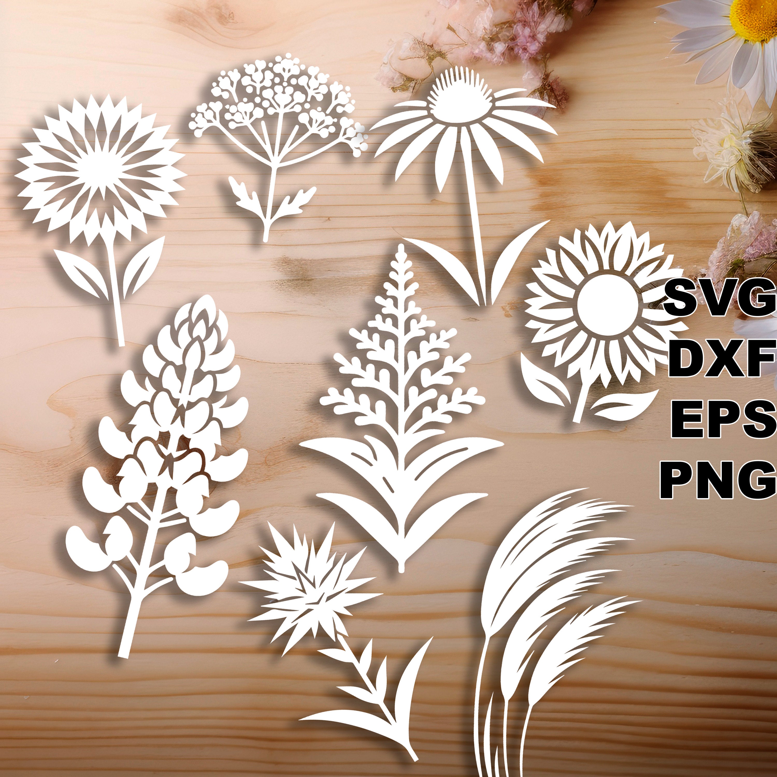 Great Plains Flora SVG Cut Files (svg Dxf Png Eps) Vinyl and Paper Cut ...