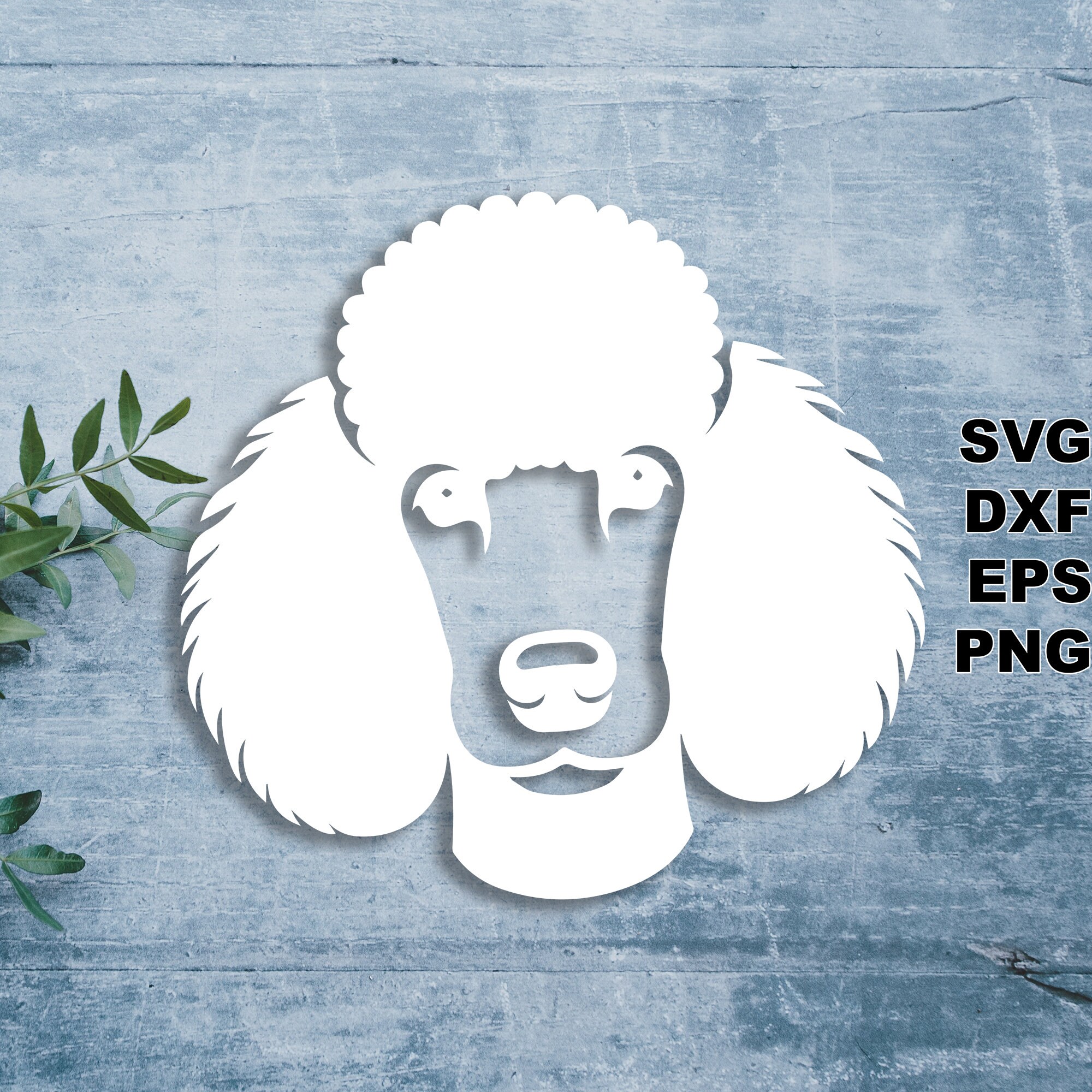 Poodle SVG Cut Files (svg Dxf Png Eps) Silhouette & Cricut, Digital ...