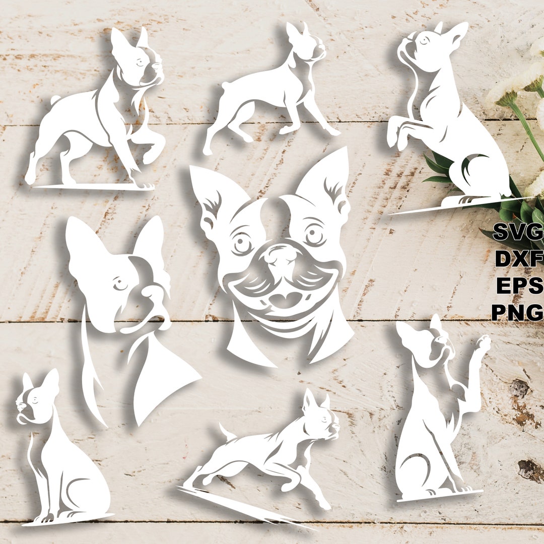 Boston Terrier SVG Cut Files (svg Dxf Png Eps) Silhouette & Cricut ...