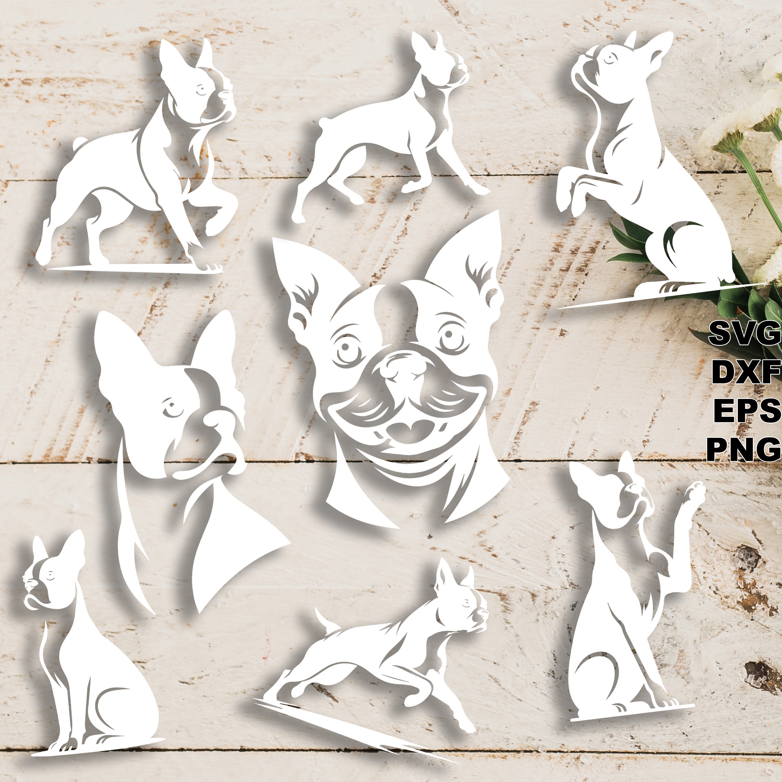 Boston Terrier SVG Cut Files svg Dxf Png Eps Silhouette & Cricut ...
