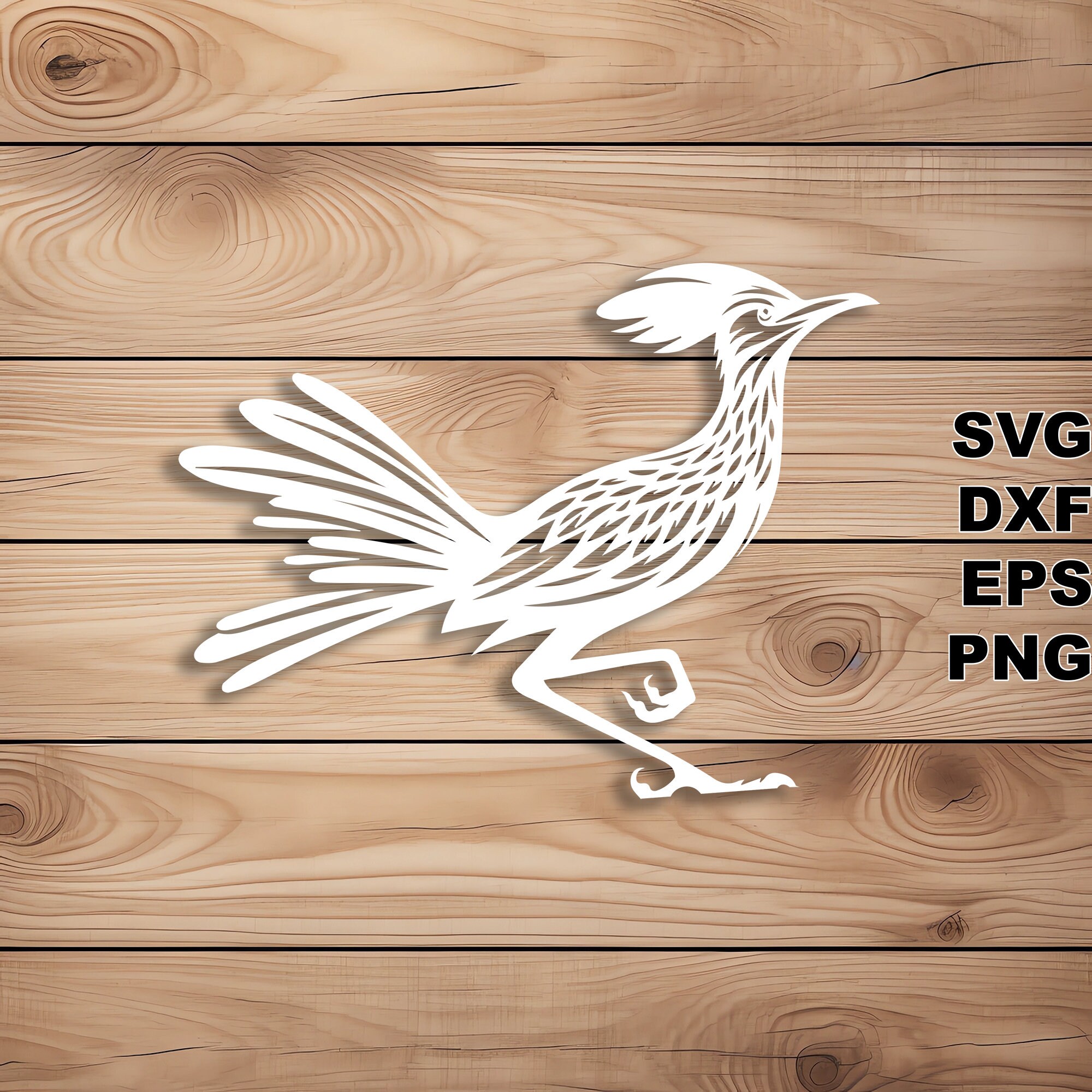 Birds of the American Southwest - SVG Cut Files (svg Dxf Png Eps) Vinyl ...