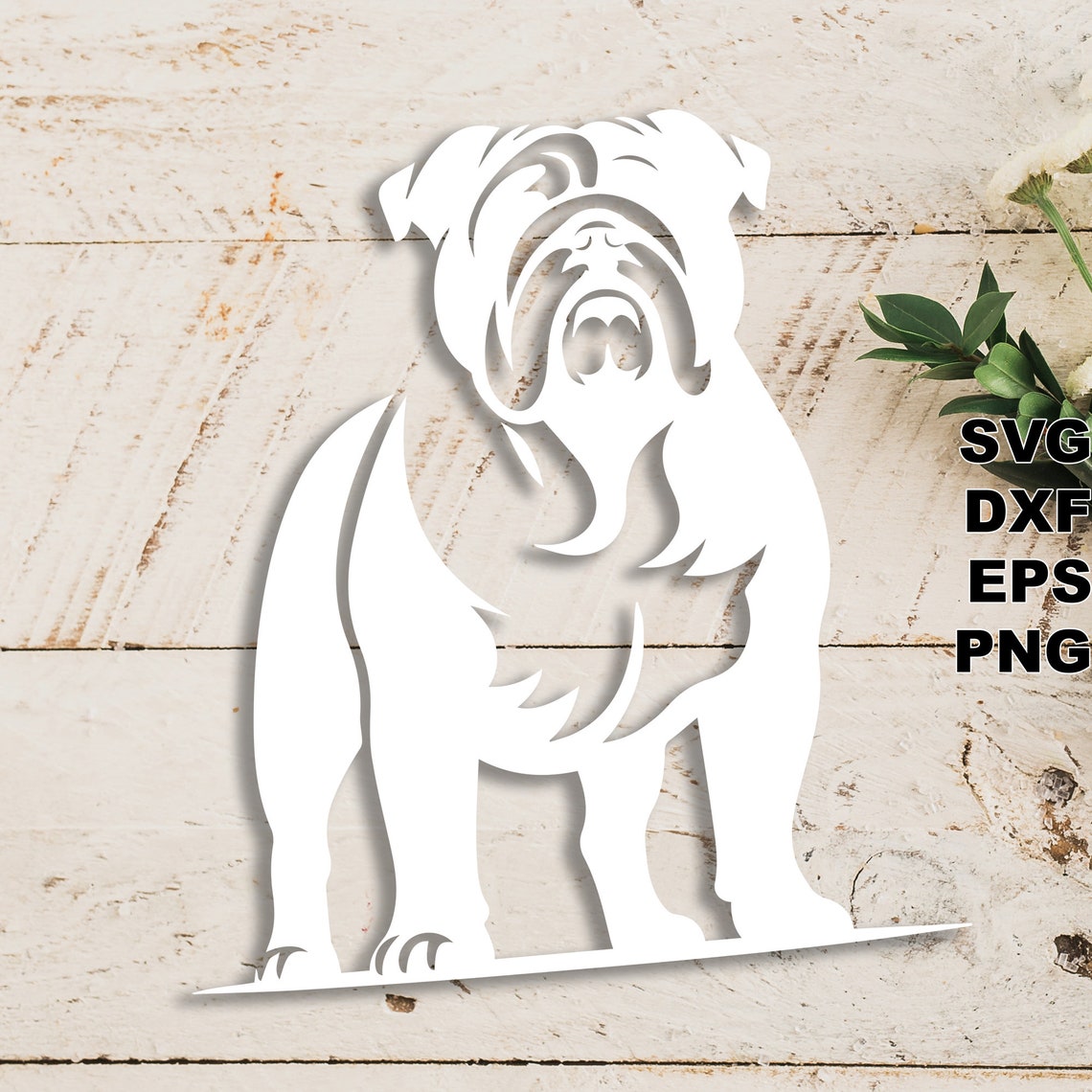 Bulldog SVG Cut Files svg Dxf Png Eps Silhouette & Cricut, Digital ...