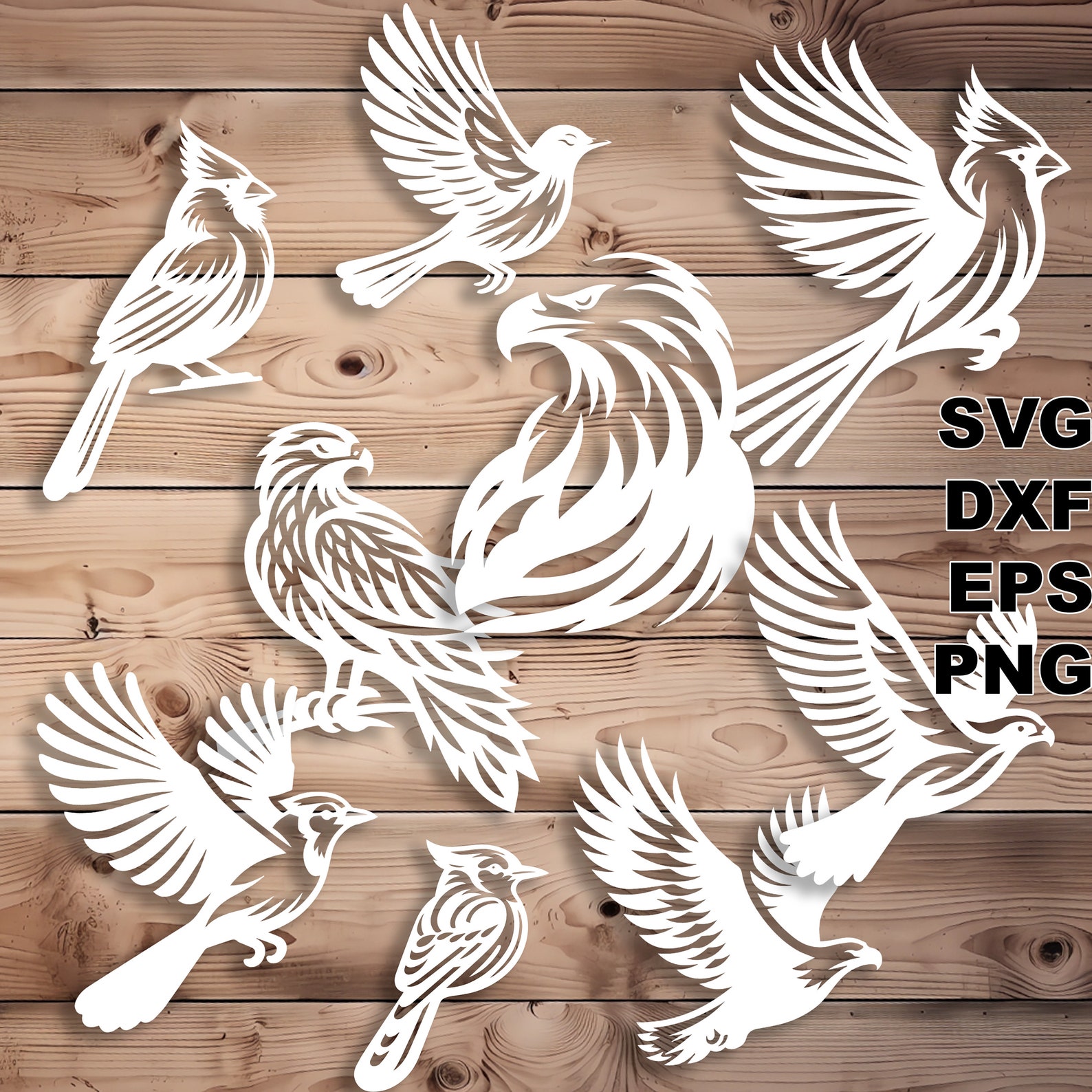 Birds of the Northeast SVG Cut Files (svg Dxf Png Eps) Vinyl and Paper ...
