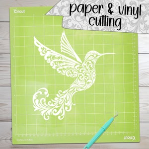 Hummingbird Fancy SVG Cut Files (svg Dxf Png Eps Jpg) Silhouette ...