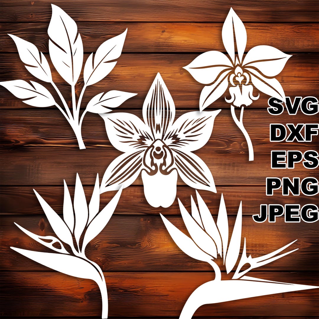 Costa Rican Flora SVG Cut Files svg Dxf Png Eps Jpeg Silhouette ...