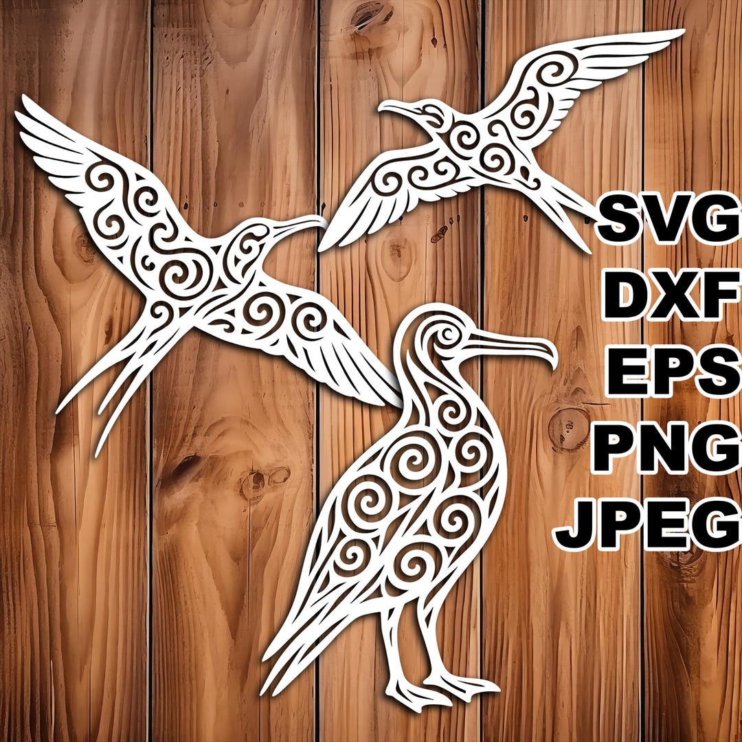 Filigree Great Frigatebird SVG Cut Files (svg Dxf Png Eps Jpeg ...
