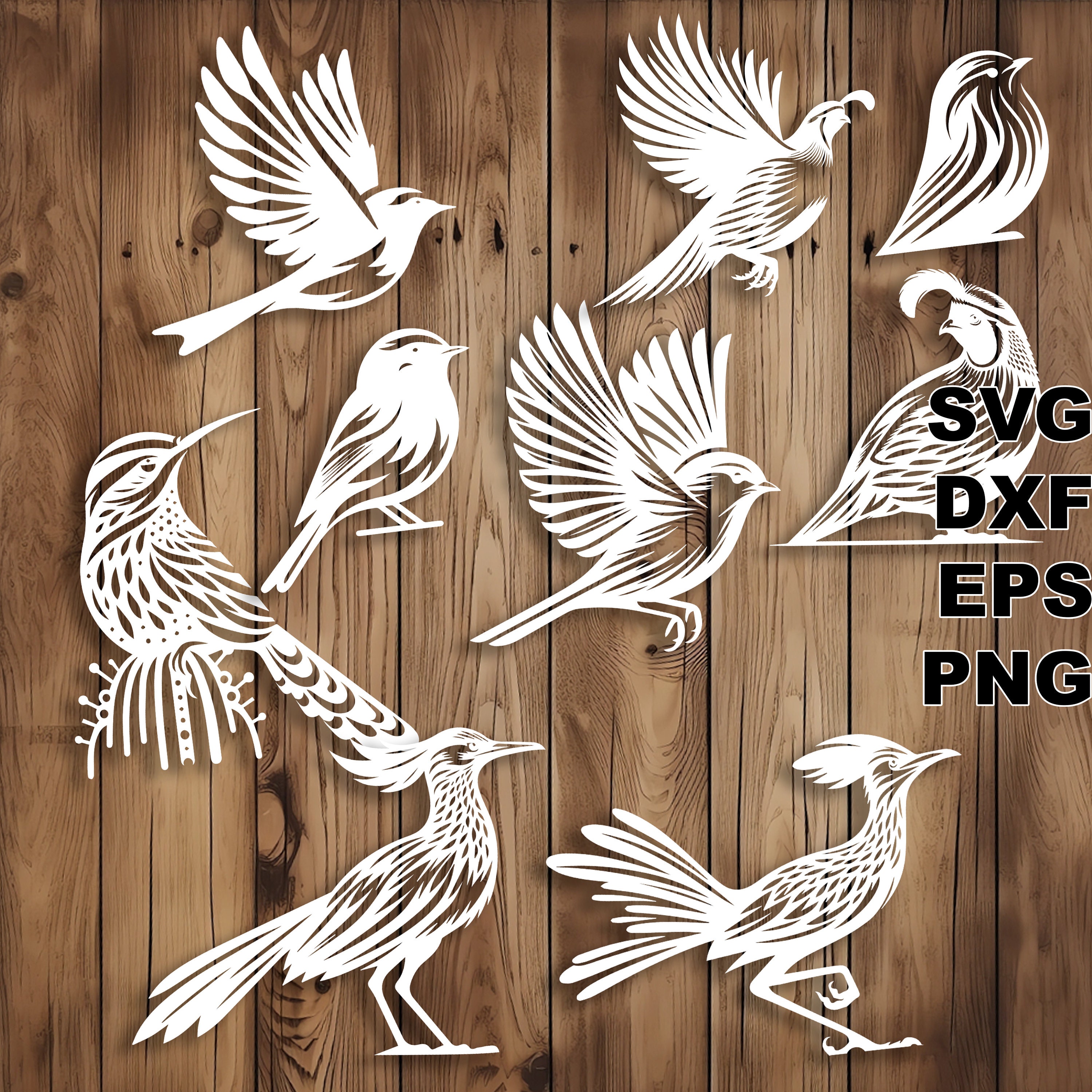 Birds of the American Southwest - SVG Cut Files (svg Dxf Png Eps) Vinyl ...