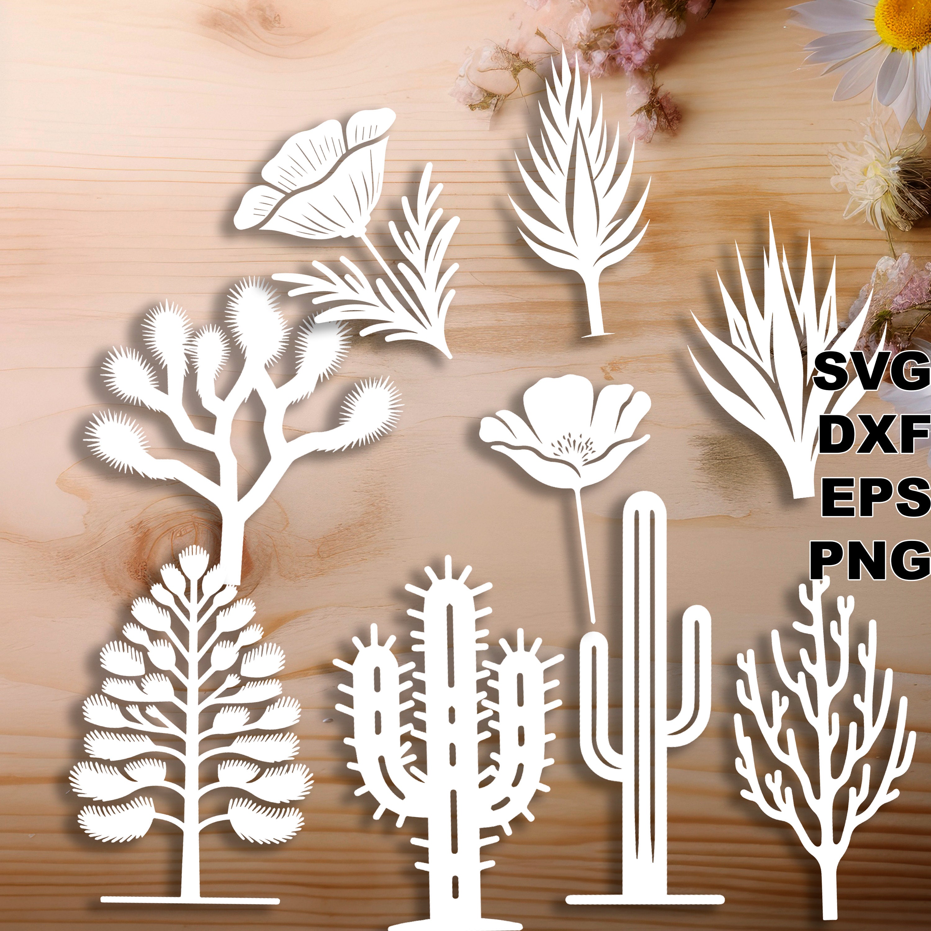 American Southwest Flora SVG Cut Files svg Dxf Png Eps Vinyl and Paper ...