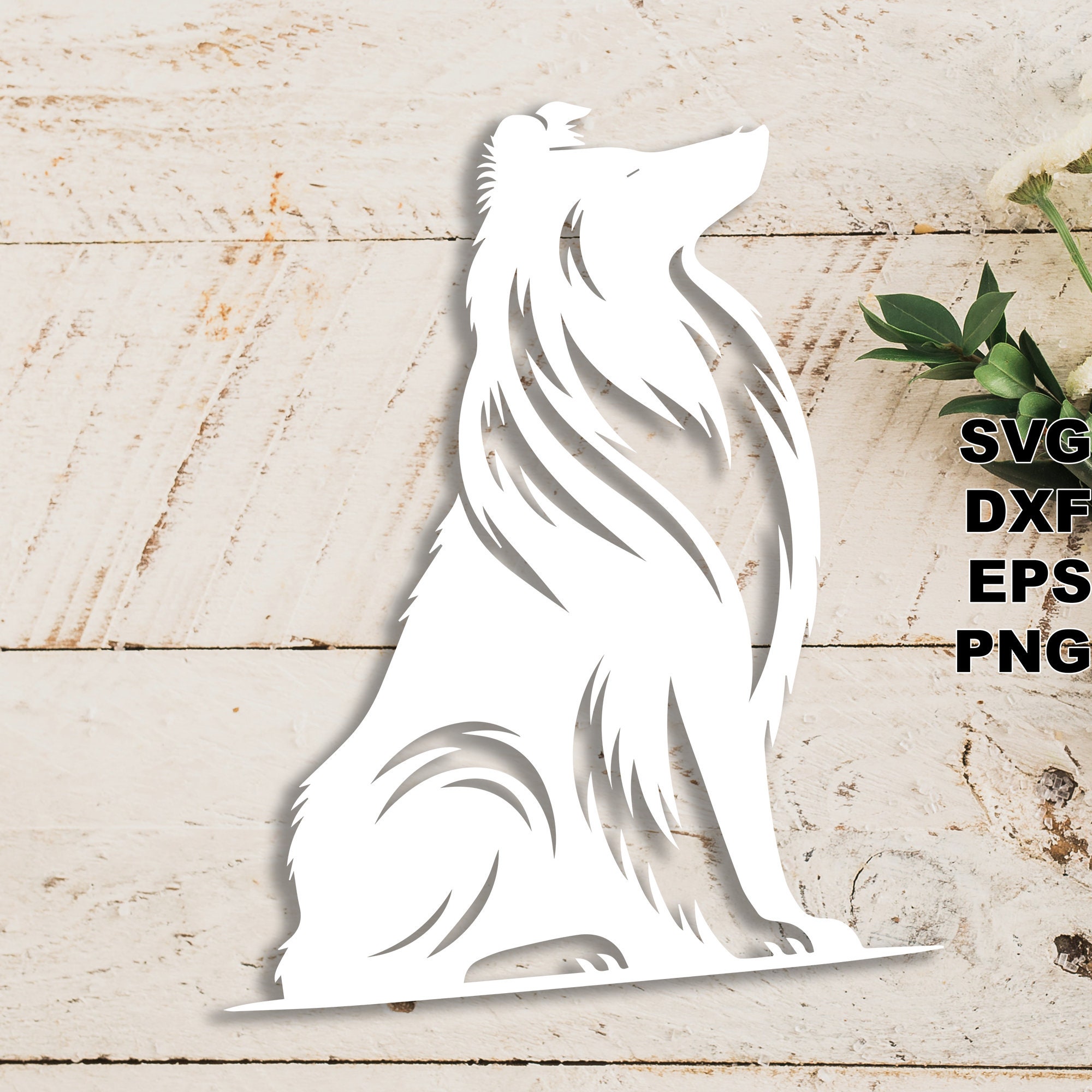 Rough Collie SVG Cut Files svg Dxf Png Eps Silhouette & Cricut, Digital ...