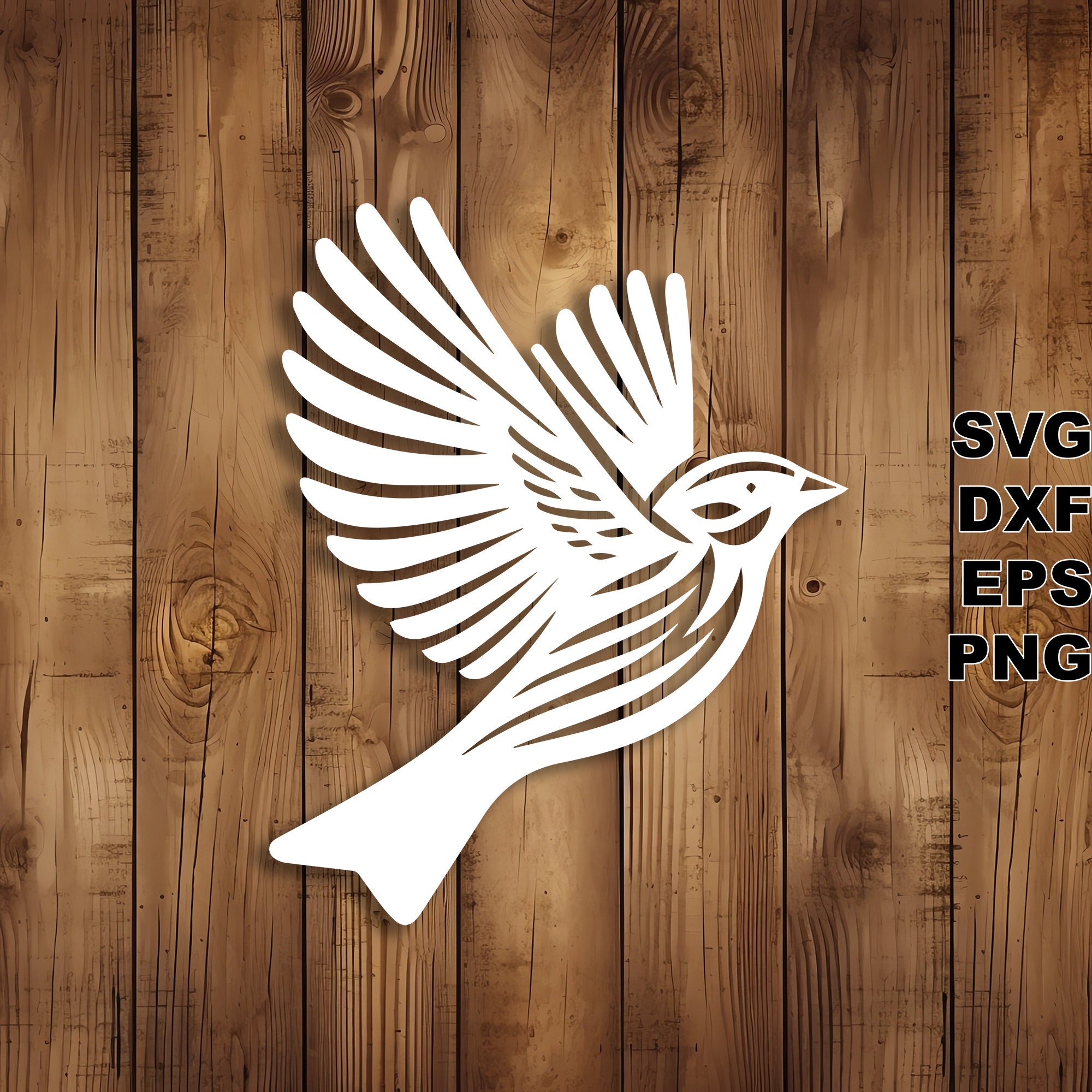 Birds of the Southeast SVG Cut Files svg Dxf Png Eps Vinyl and Paper ...