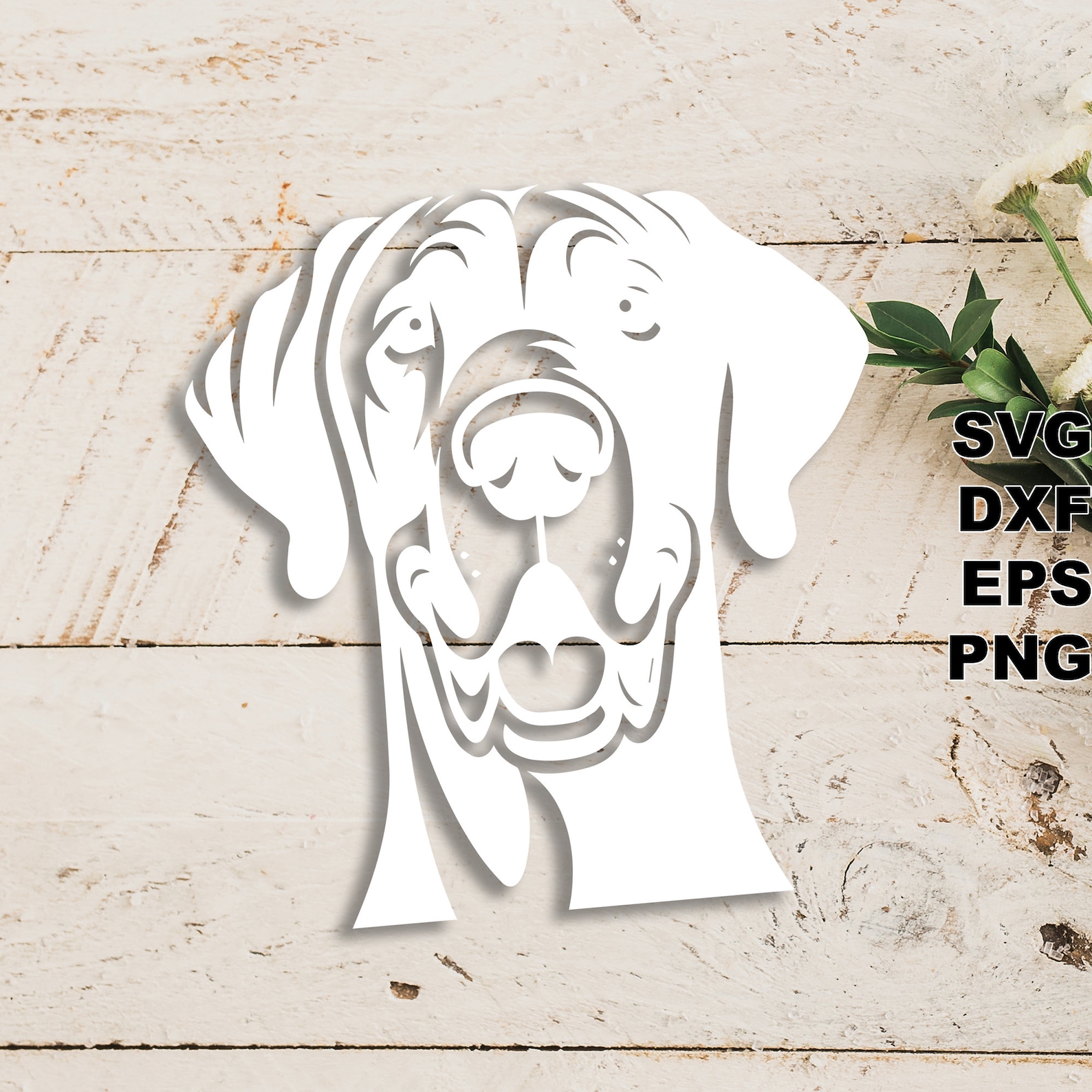 Great Dane SVG Cut Files svg Dxf Png Eps Silhouette & Cricut, Digital ...