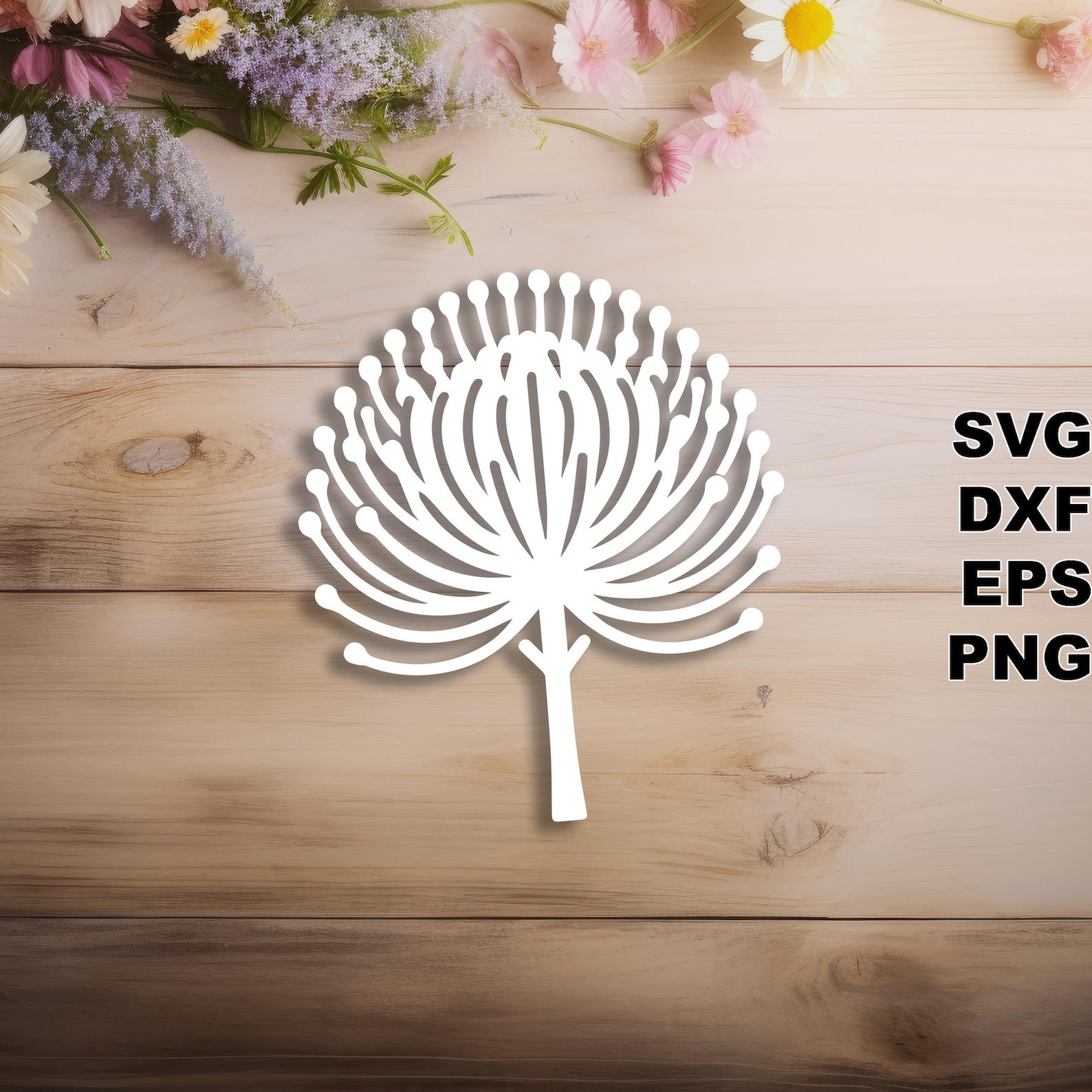 Australian Flora SVG Cut Files (svg Dxf Png Eps) Vinyl and Paper Cut ...