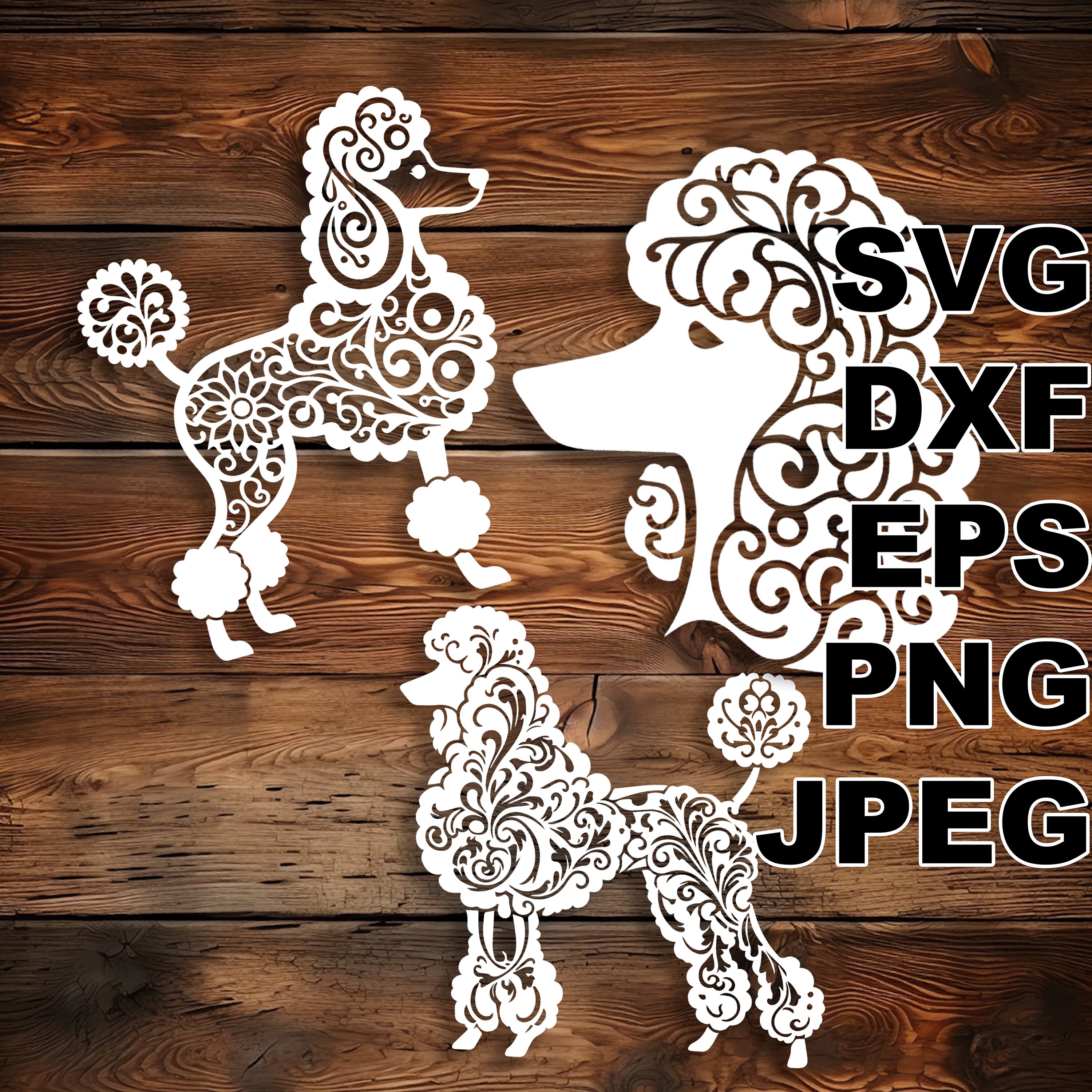 Poodle Fancy SVG Cut Files svg Dxf Png Eps Silhouette & Cricut, Digital ...