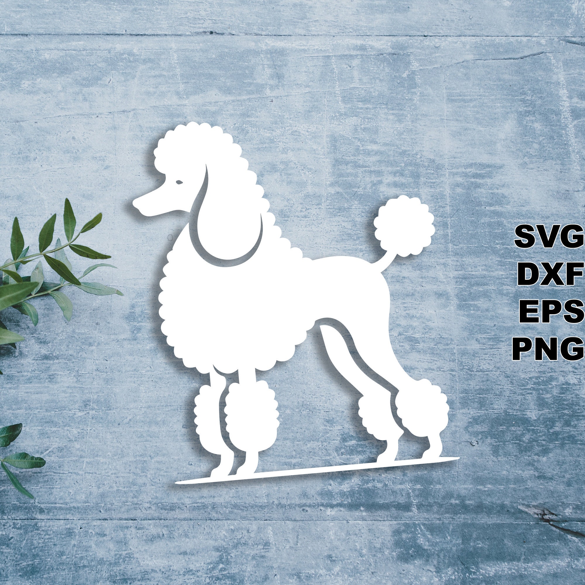 Poodle SVG Cut Files (svg Dxf Png Eps) Silhouette & Cricut, Digital ...