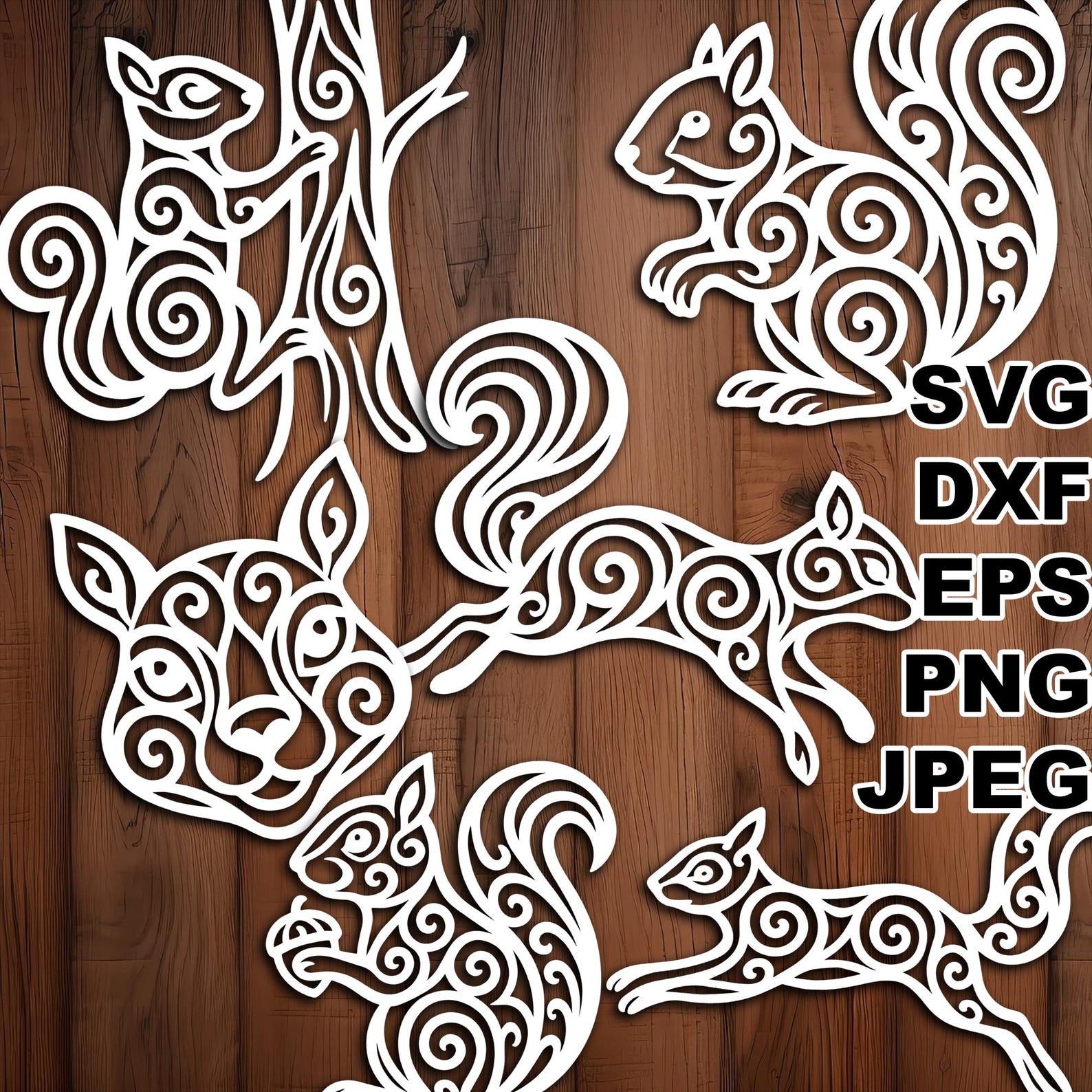 Elegant Squirrel SVG Cut Files (svg Dxf Png Eps Jpeg) Silhouette ...