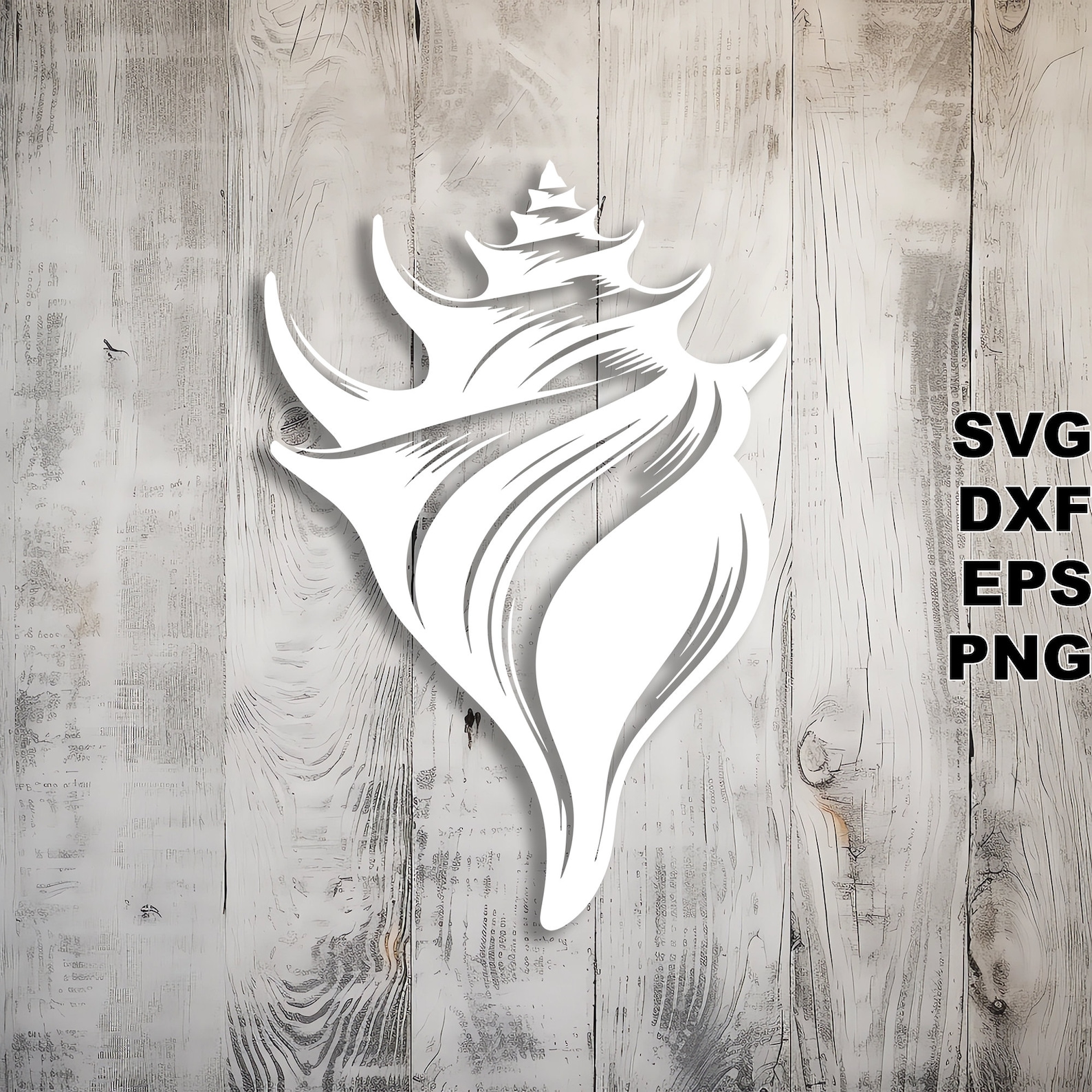 Seashells SVG Cut Files svg Dxf Png Eps Silhouette & Cricut, Digital ...