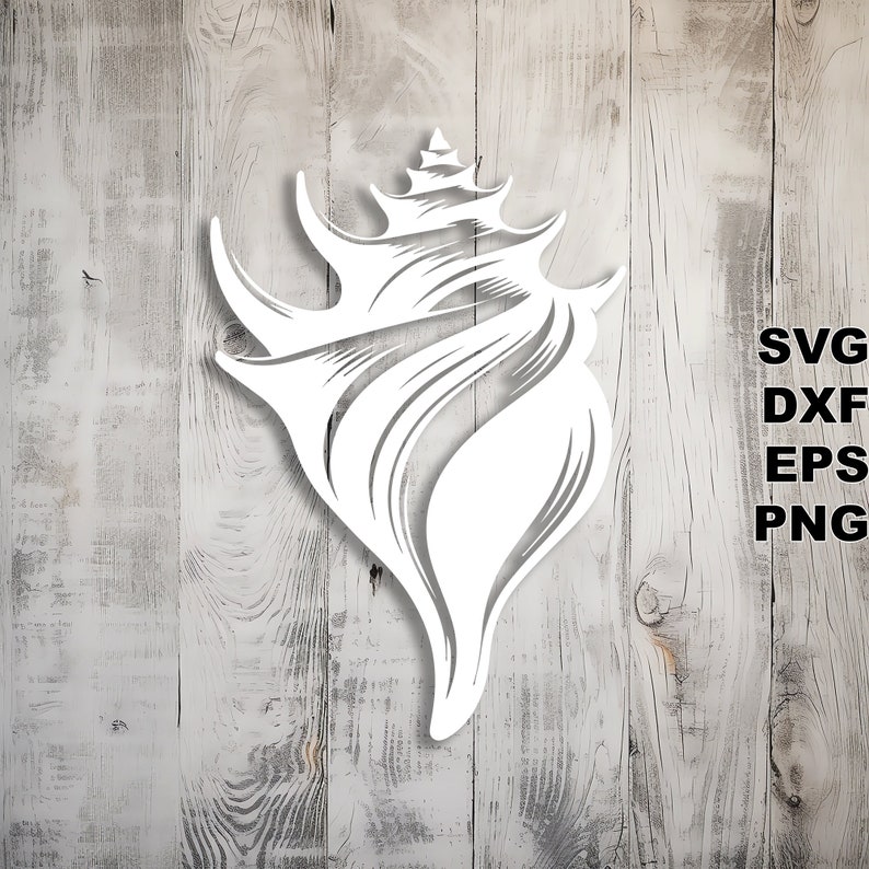 Seashells SVG Cut Files (svg Dxf Png Eps) Silhouette & Cricut, Digital ...