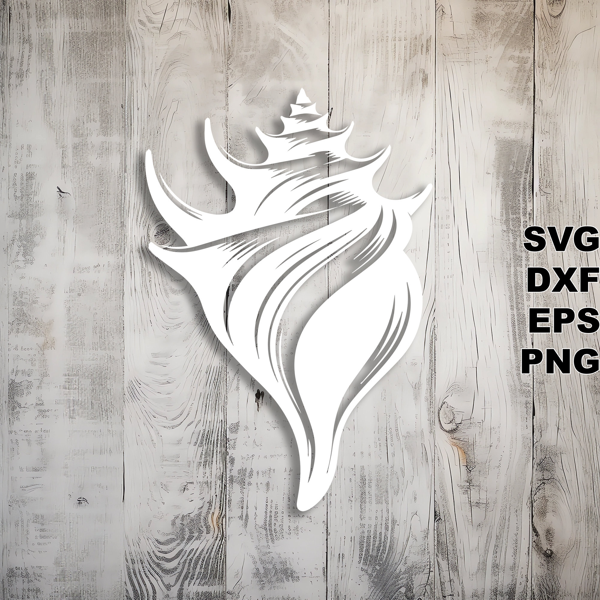 Seashells SVG Cut Files svg Dxf Png Eps Silhouette & Cricut, Digital ...