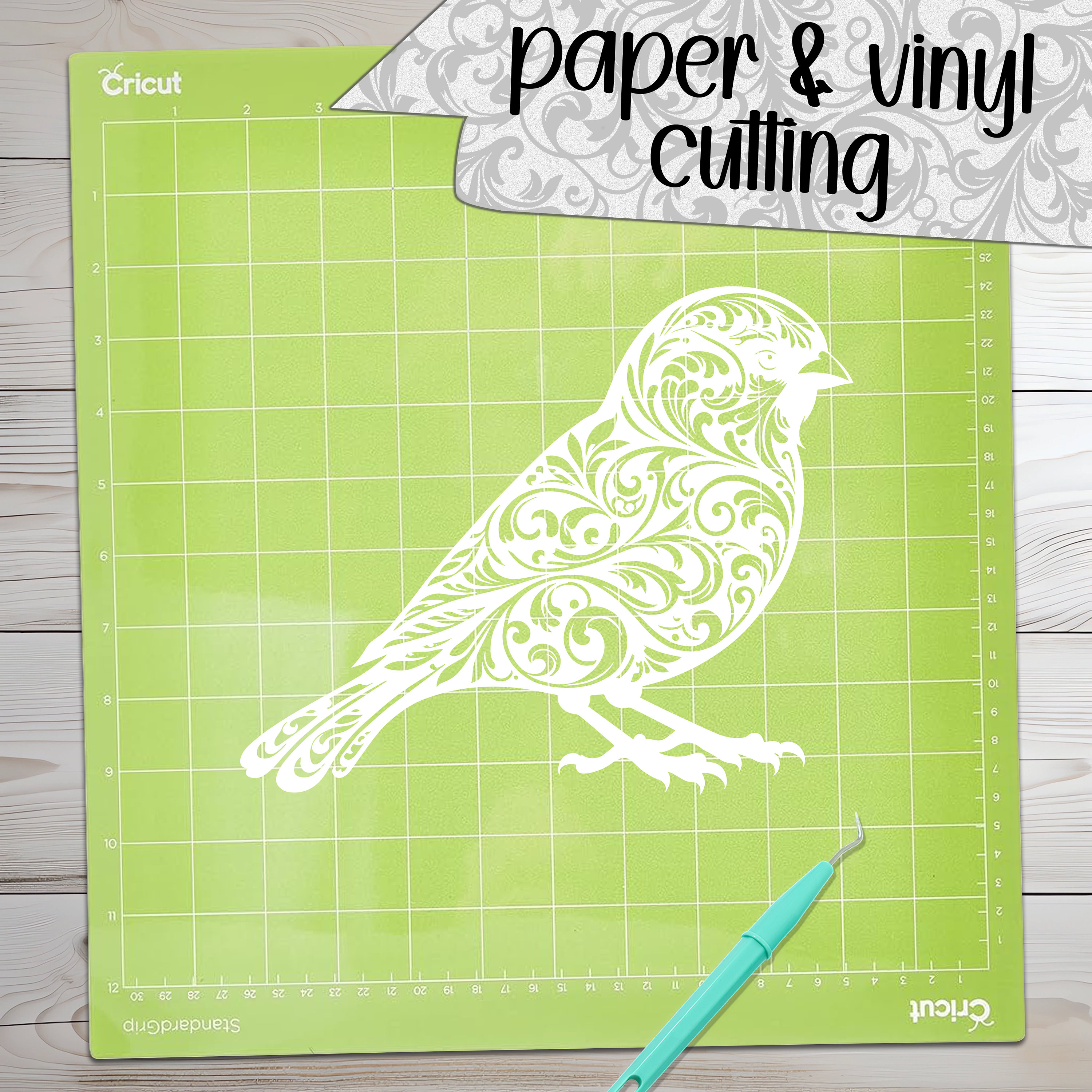 Fanciest Birds SVG Cut Files (svg Dxf Png Eps Jpg) Silhouette & Cricut ...