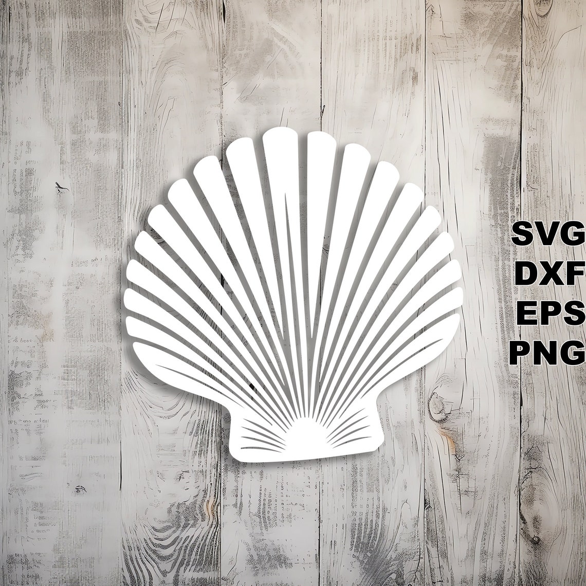 Seashells SVG Cut Files svg Dxf Png Eps Silhouette & Cricut, Digital ...