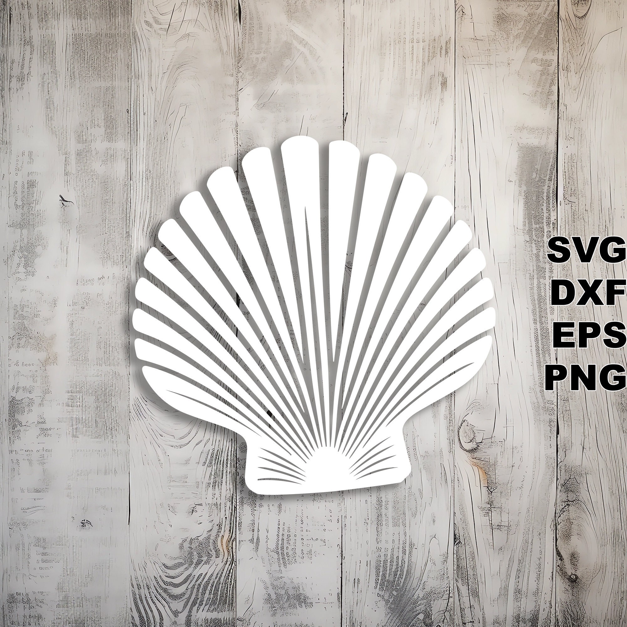 Seashells SVG Cut Files (svg Dxf Png Eps) Silhouette & Cricut, Digital ...