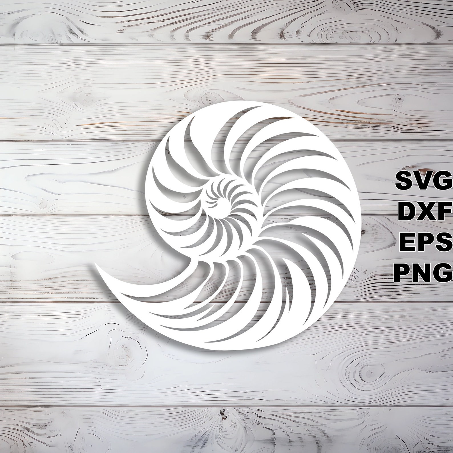 Seashells SVG Cut Files (svg Dxf Png Eps) Silhouette & Cricut, Digital ...