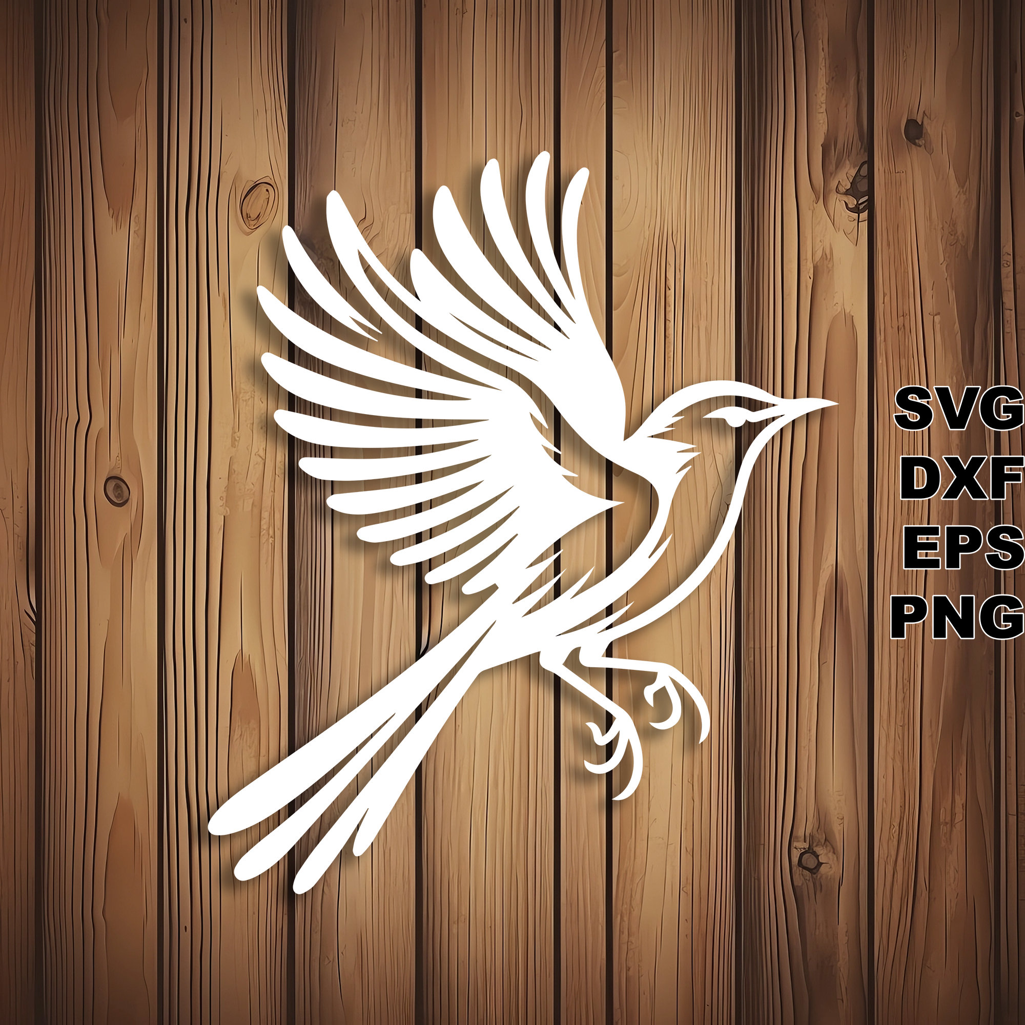 Birds of the Southeast SVG Cut Files svg Dxf Png Eps Vinyl and Paper ...