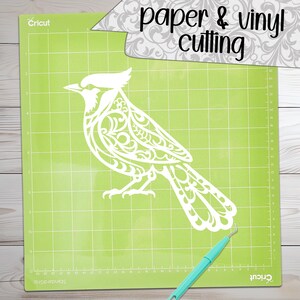 Blue Jay SVG Cut Files (svg Dxf Png Eps Jpeg) Silhouette & Cricut ...