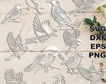Fanciest Birds SVG Cut Files (svg Dxf Png Eps Jpg) Silhouette & Cricut ...